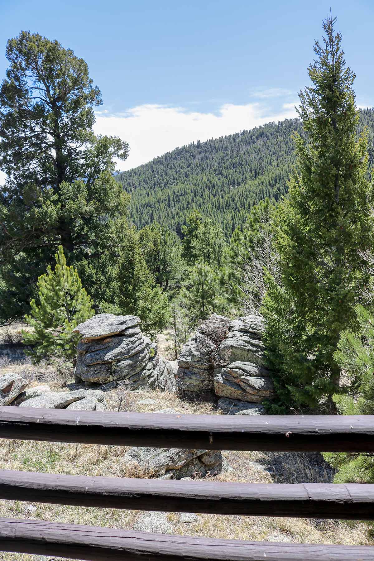 Elk Meadow Ranch - Sold - Colorado - Hall and Hall