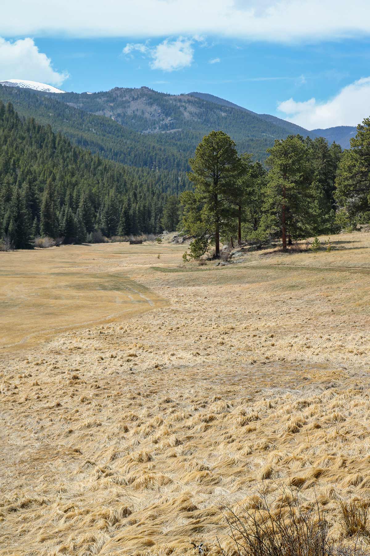 Elk Meadow Ranch - Sold - Colorado - Hall and Hall