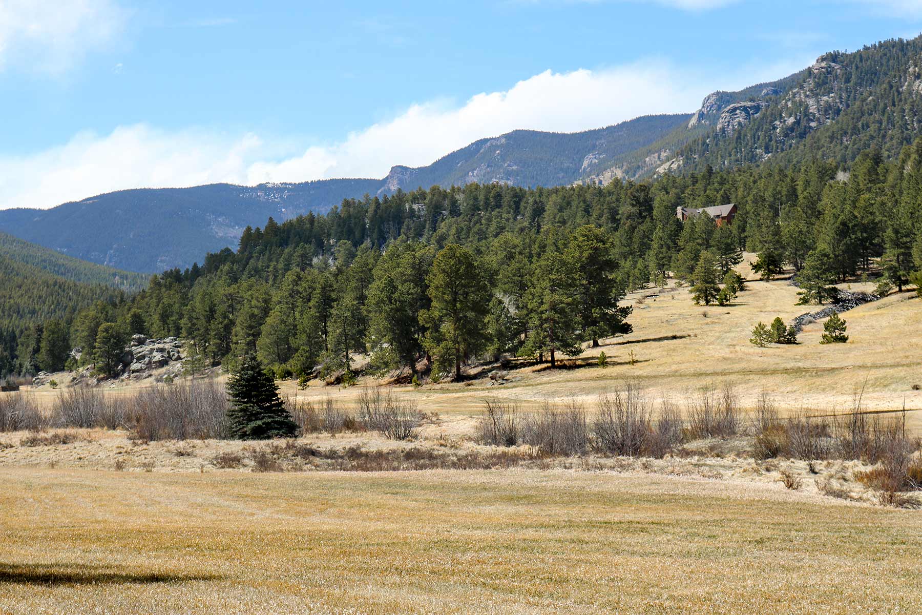 Elk Meadow Ranch - Sold - Colorado - Hall and Hall