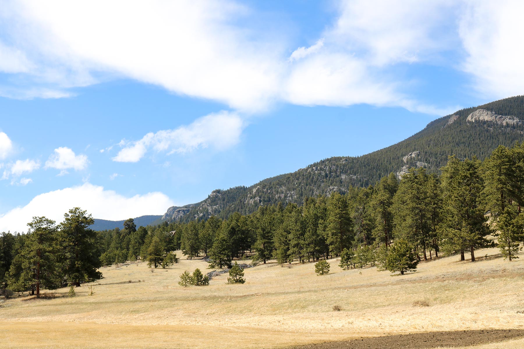 Elk Meadow Ranch - Sold - Colorado - Hall and Hall