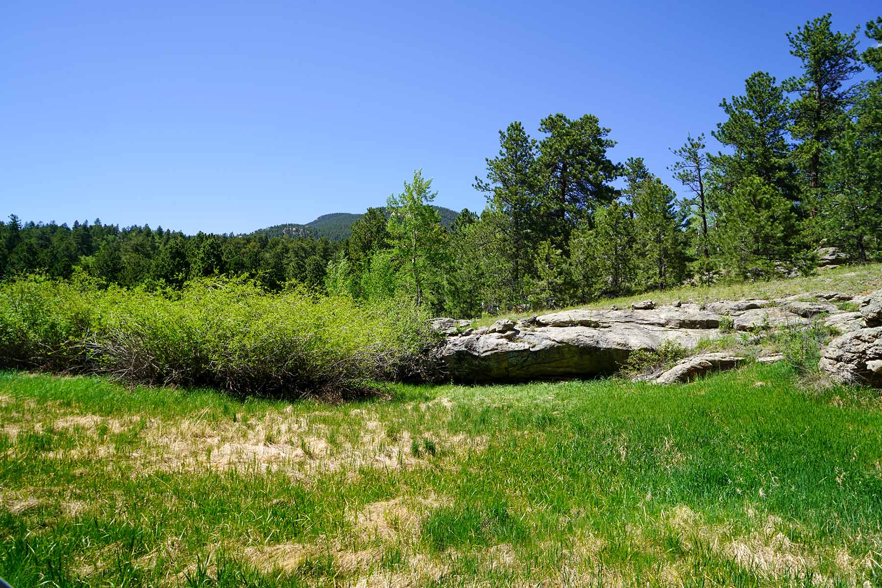Elk Meadow Ranch - Sold - Colorado - Hall and Hall