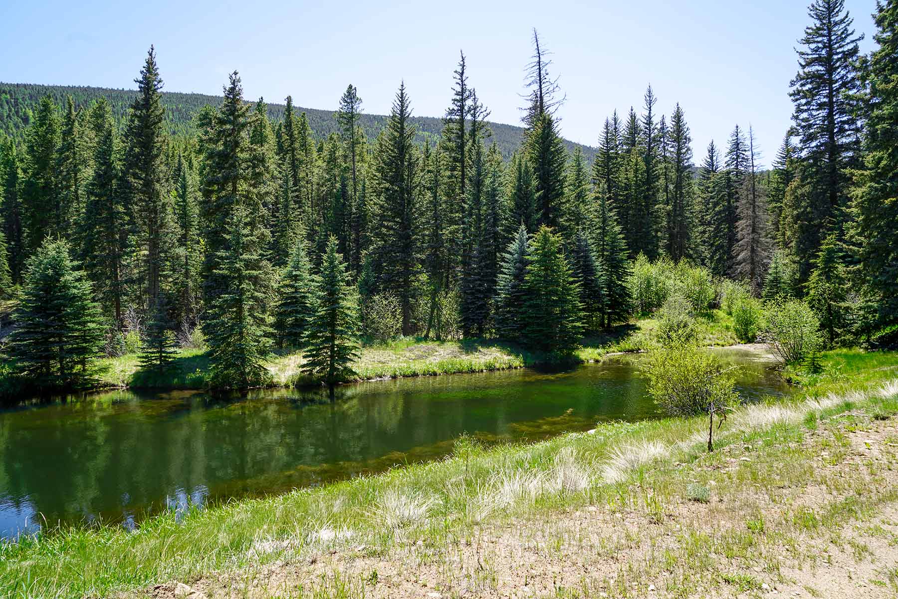 Elk Meadow Ranch - Sold - Colorado - Hall and Hall
