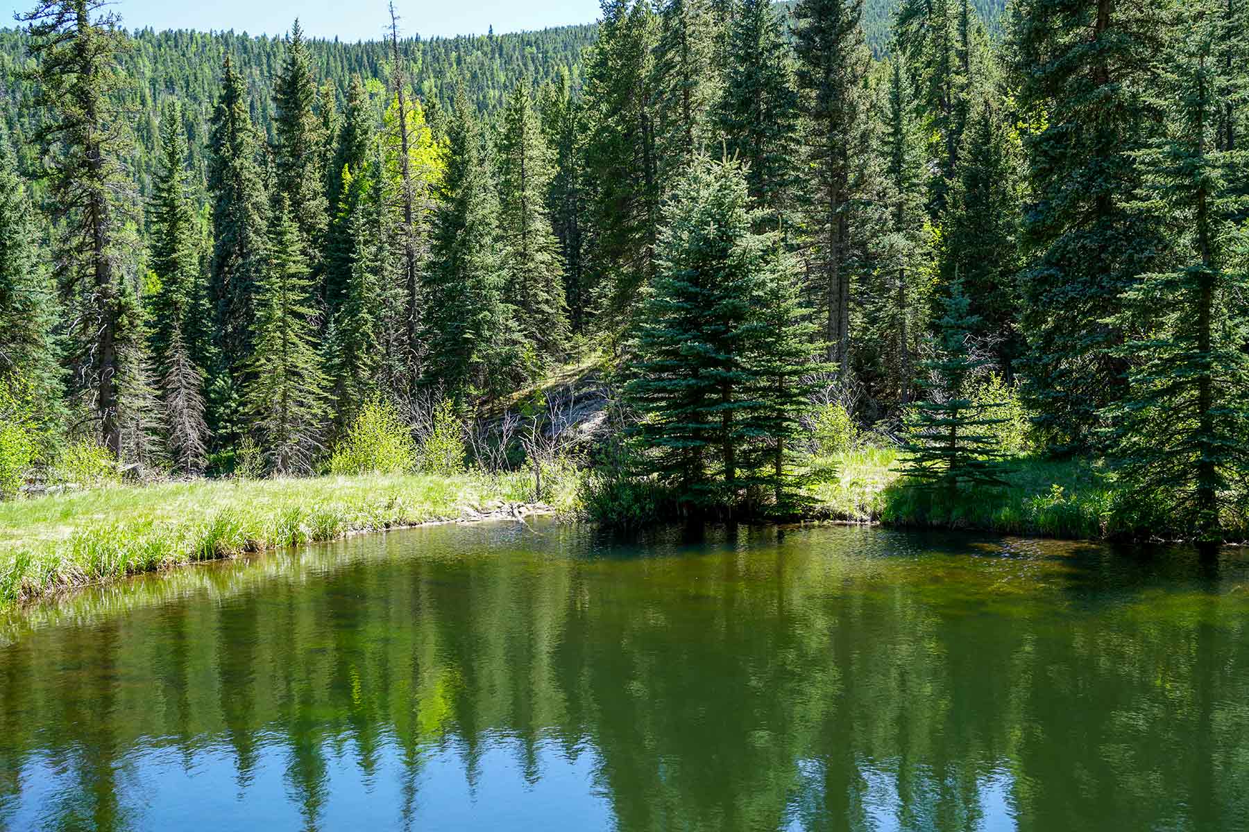 Elk Meadow Ranch - Sold - Colorado - Hall and Hall