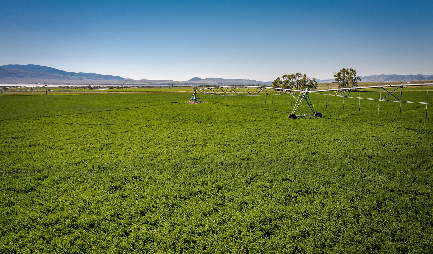 Double C Ranch - Sold - Montana - Hall and Hall