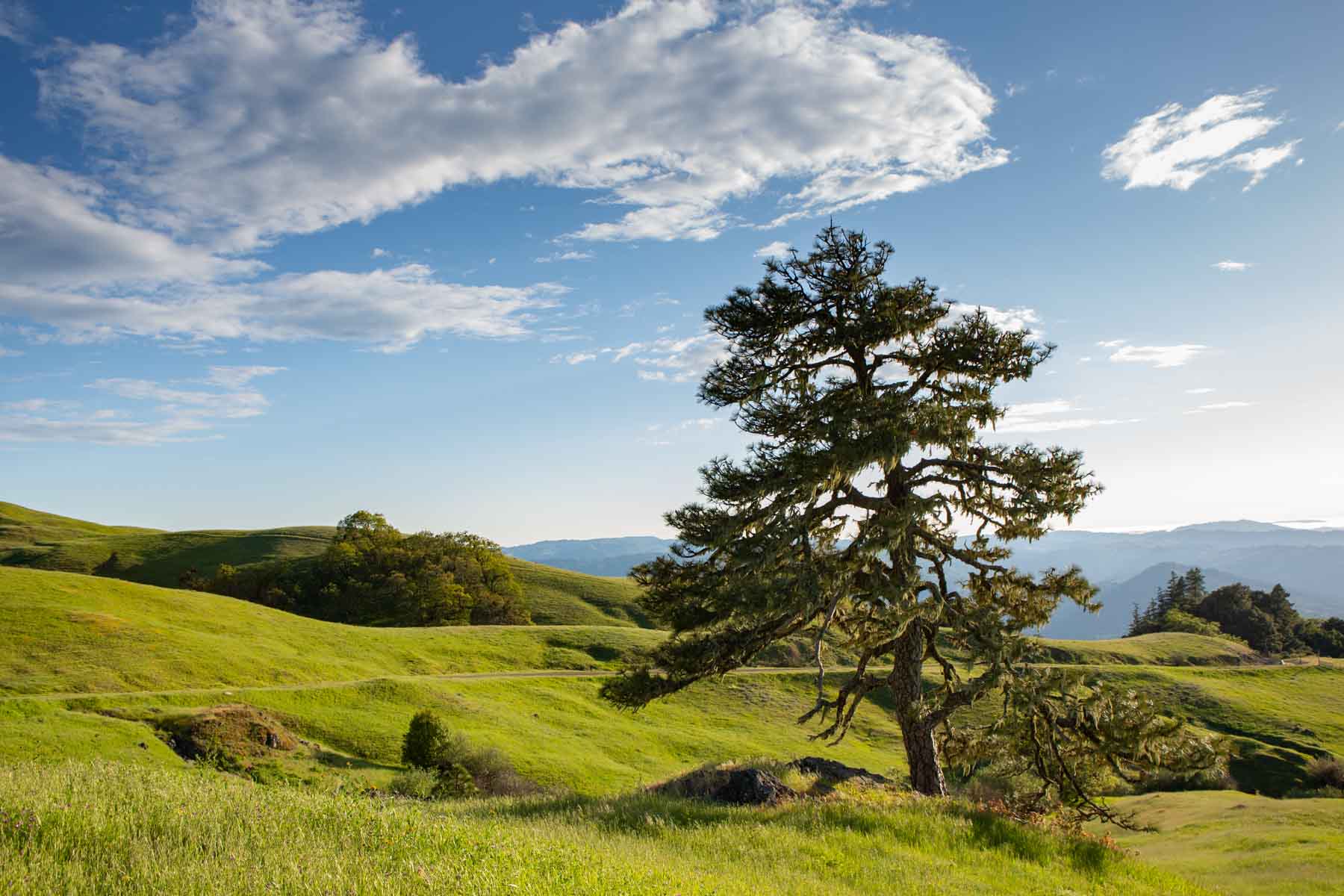 Lone Pine Ranch - Sold - California - Hall and Hall