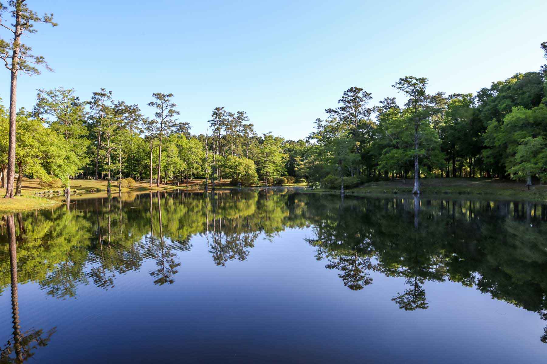 Chicora Wood Plantation - Sold - South Carolina - Hall and Hall
