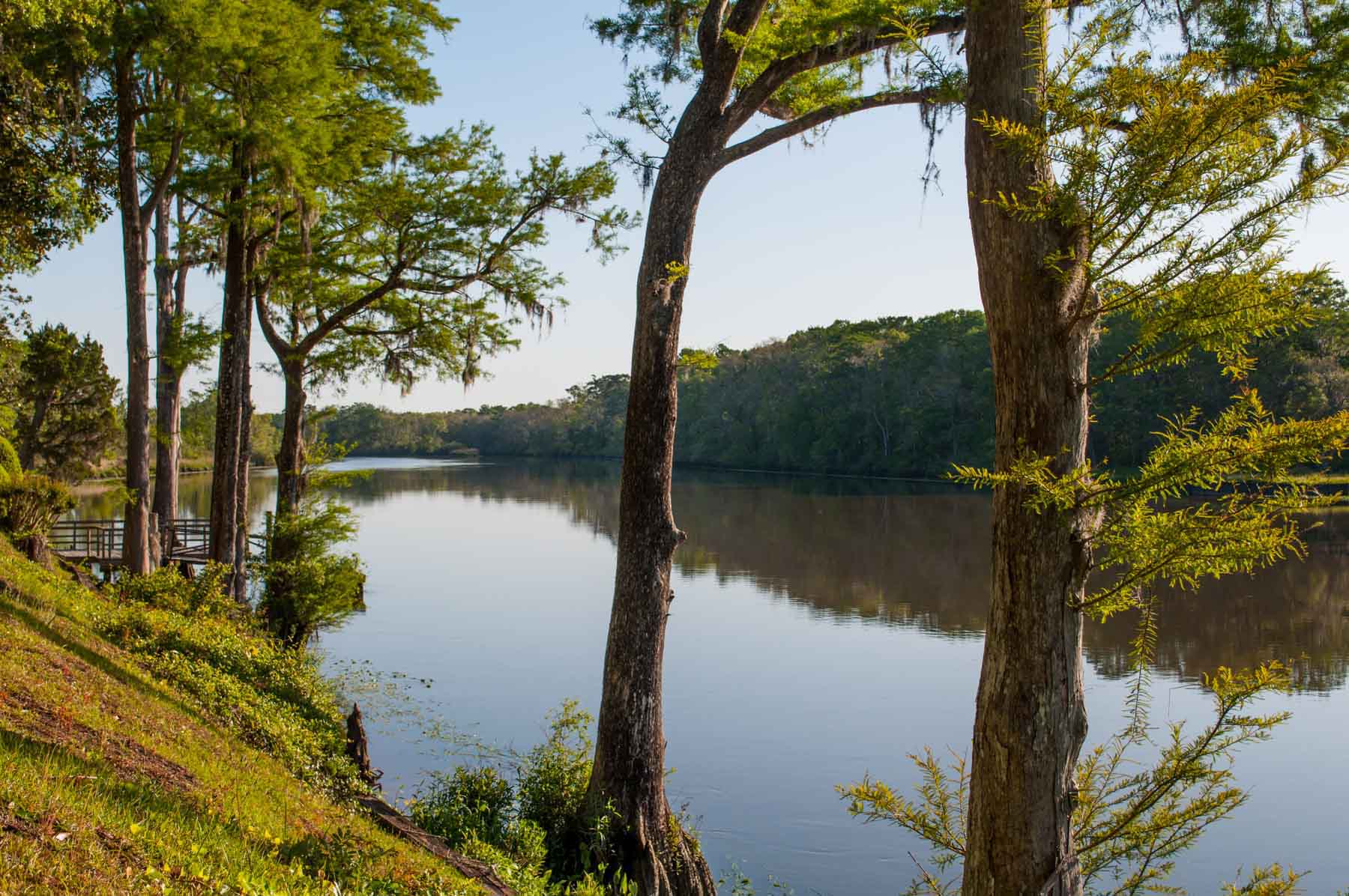 Chicora Wood Plantation - Sold - South Carolina - Hall and Hall