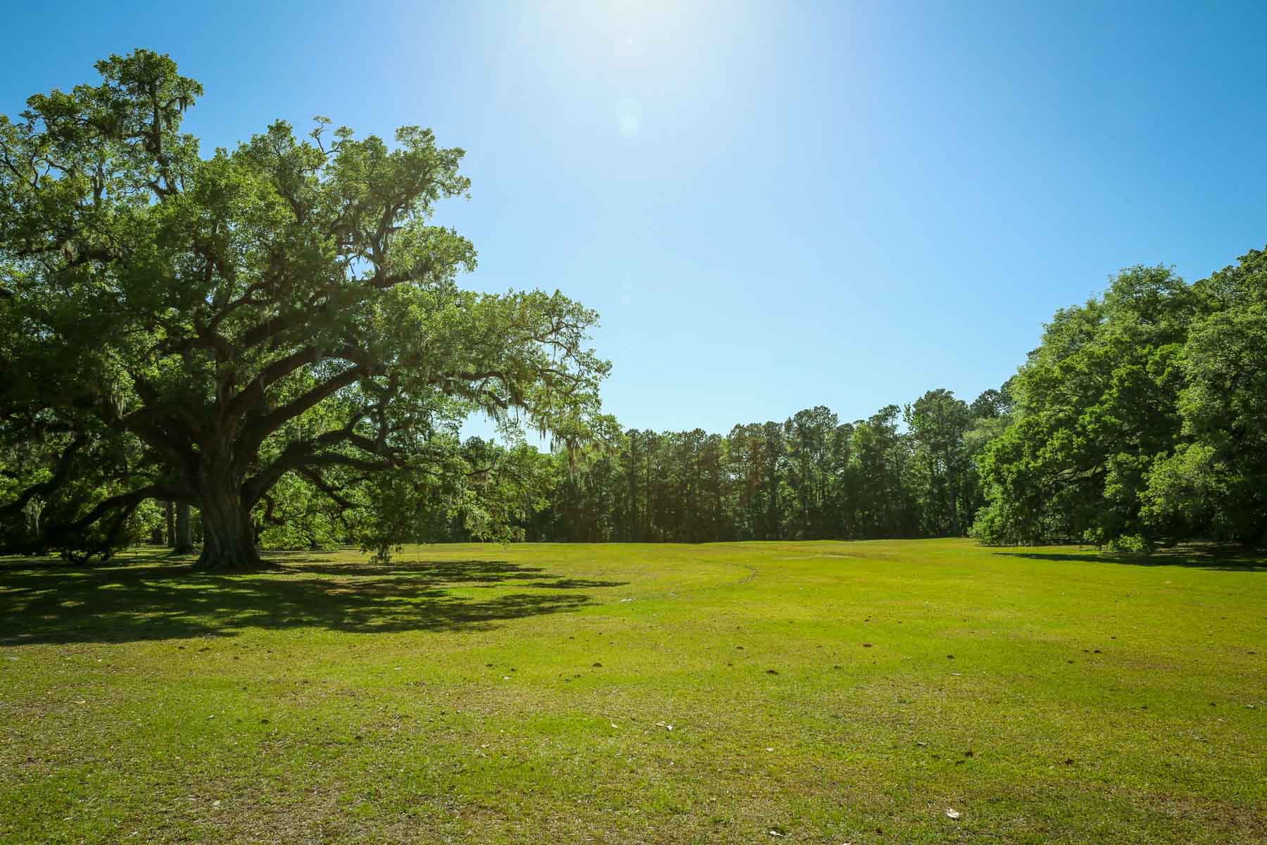 Chicora Wood Plantation - Sold - South Carolina - Hall and Hall