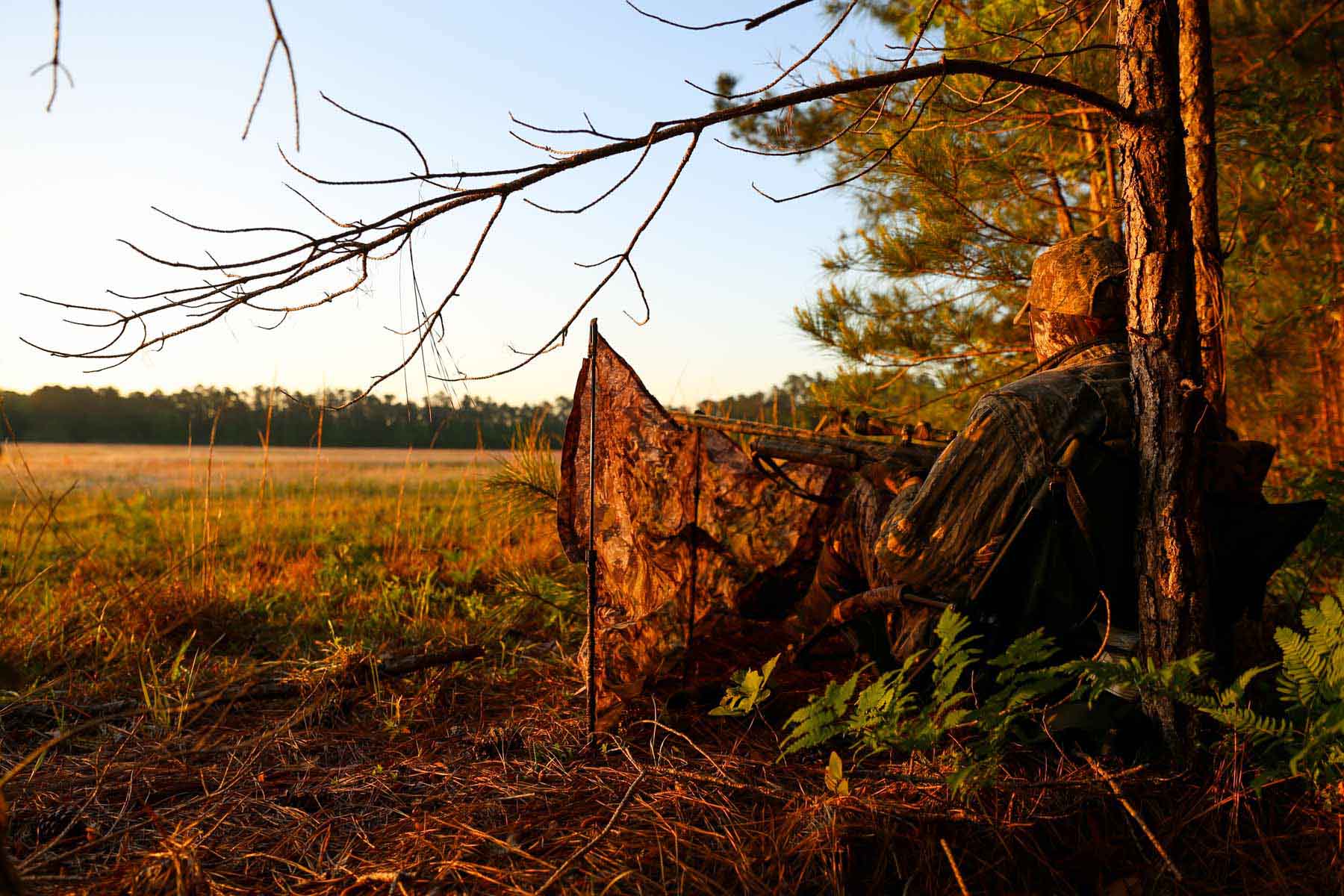 Chicora Wood Plantation - Sold - South Carolina - Hall and Hall