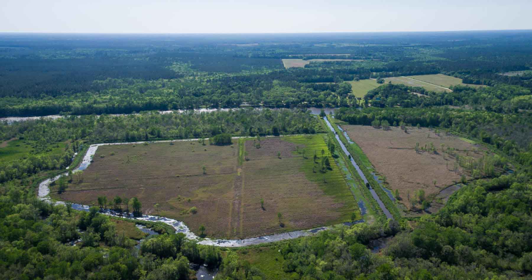 Chicora Wood Plantation - Sold - South Carolina - Hall and Hall