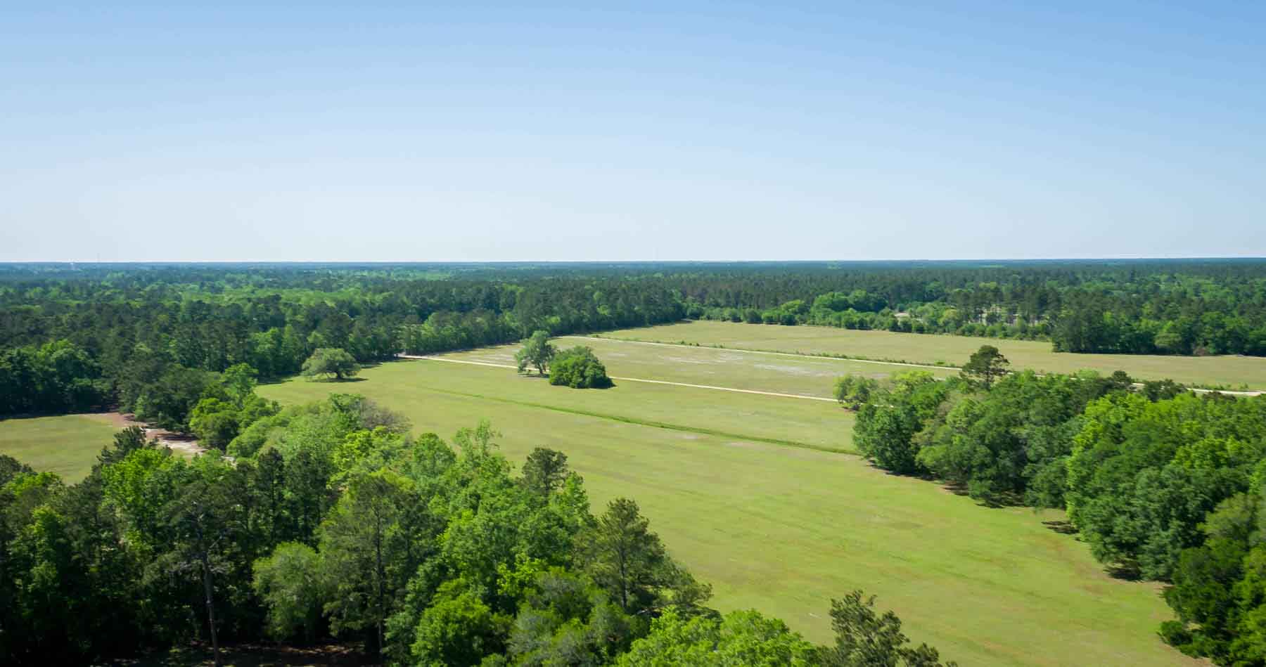 Chicora Wood Plantation - Sold - South Carolina - Hall and Hall