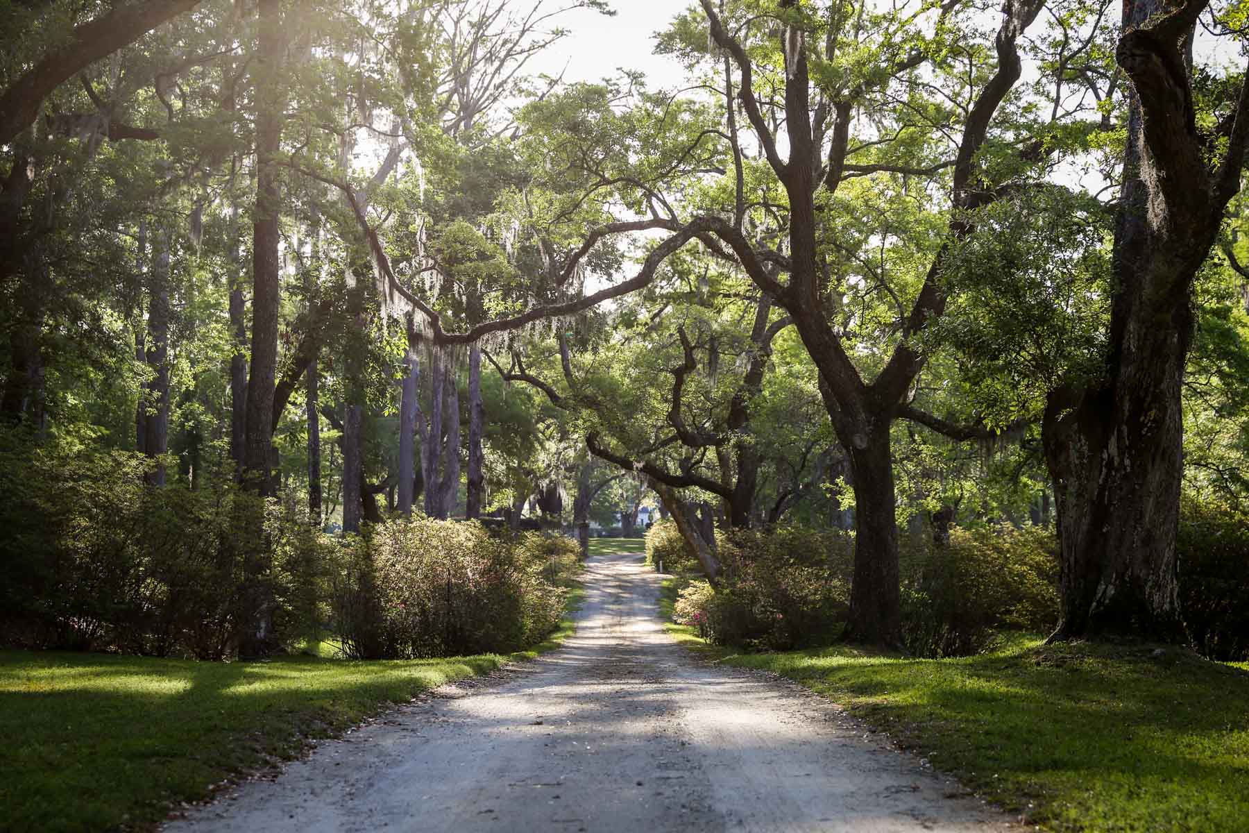 Chicora Wood Plantation - Sold - South Carolina - Hall and Hall