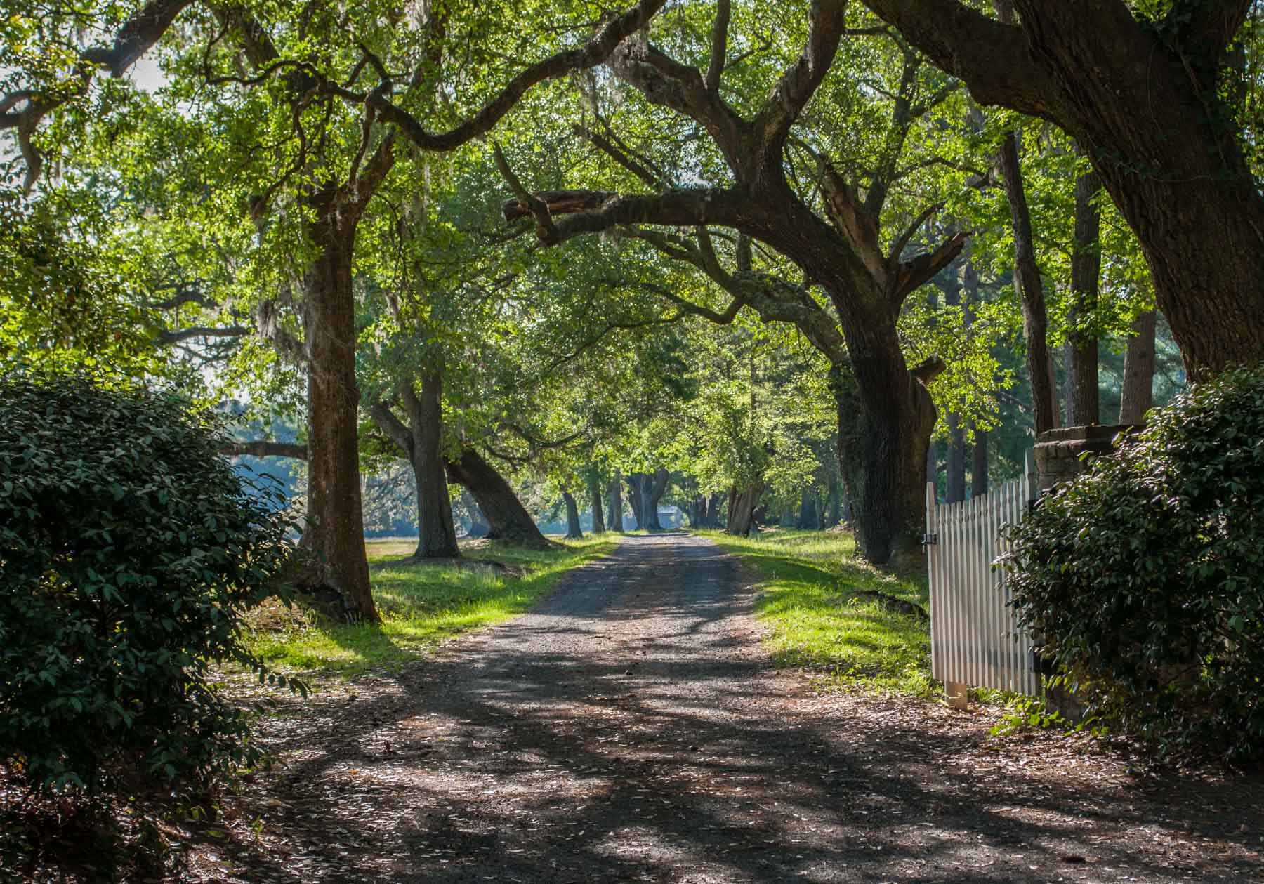 Chicora Wood Plantation - Hall and Hall