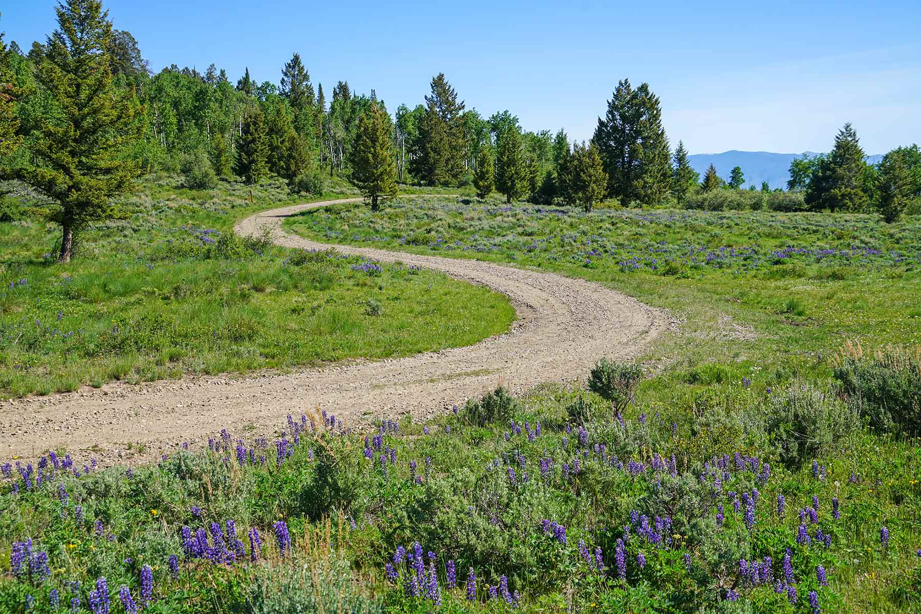 Elk Island Ranch - Sold - Colorado - Hall and Hall