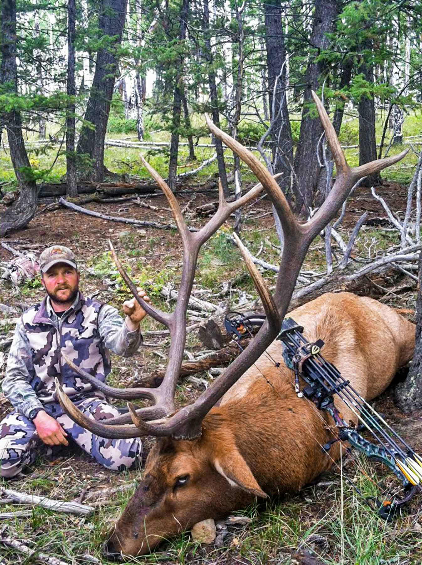 Elk Island Ranch - Sold - Colorado - Hall and Hall