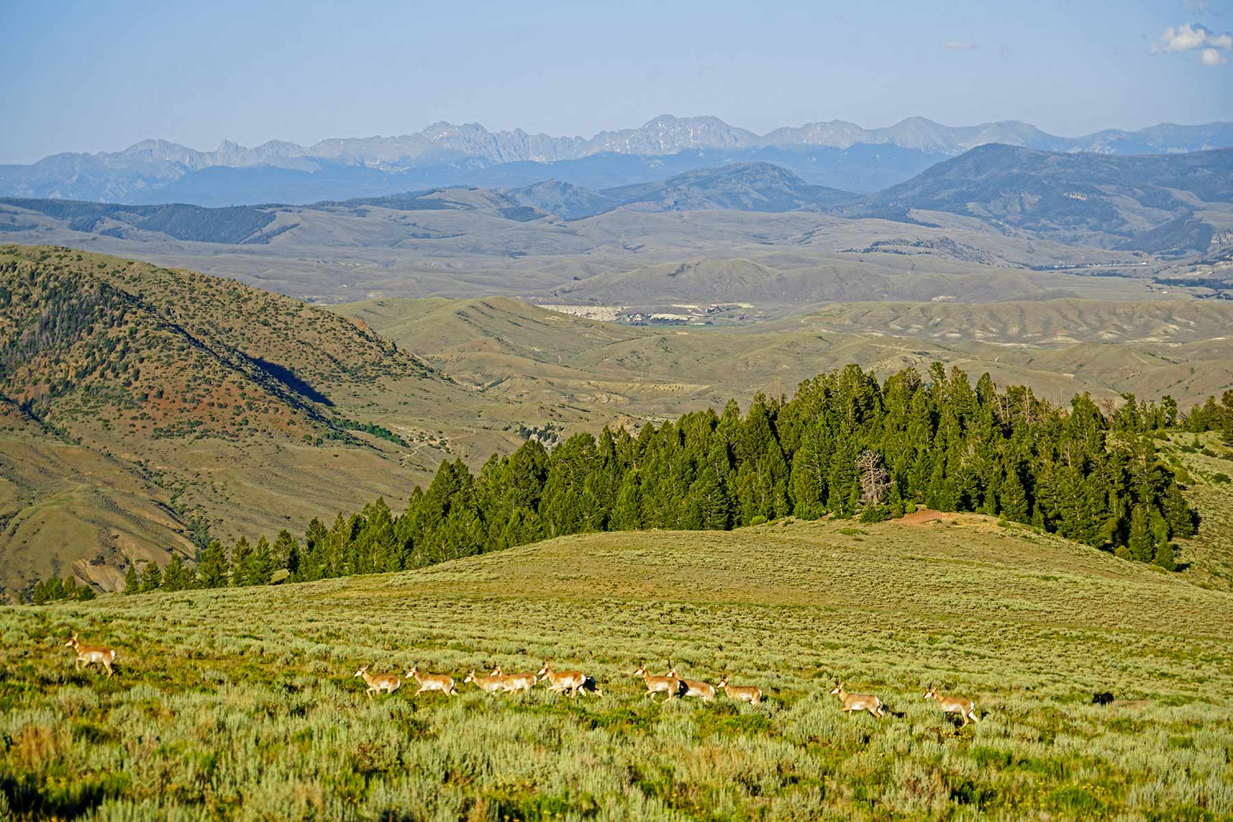 Elk Island Ranch - Sold - Colorado - Hall and Hall