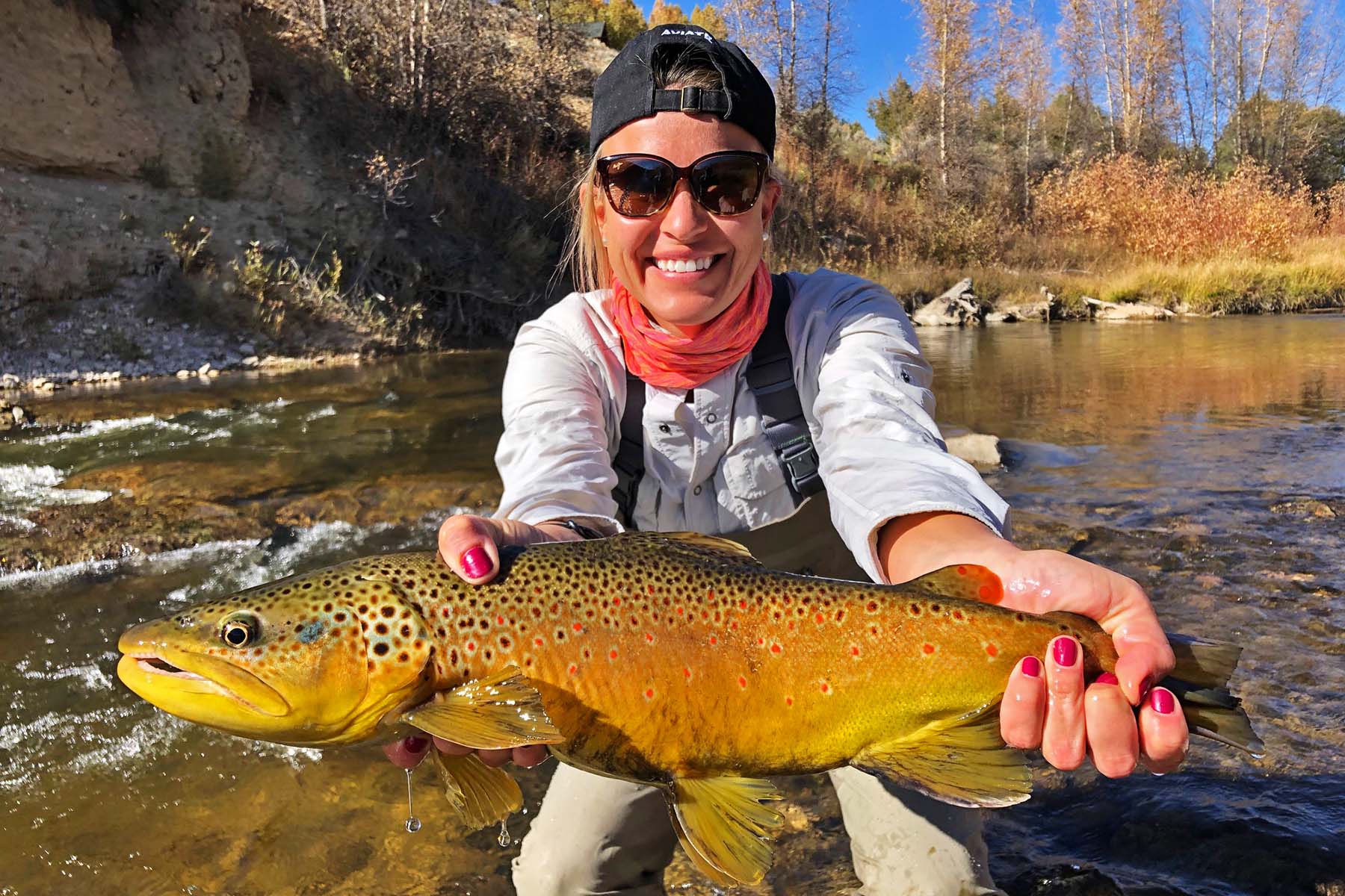 Elk Island Ranch - Sold - Colorado - Hall and Hall