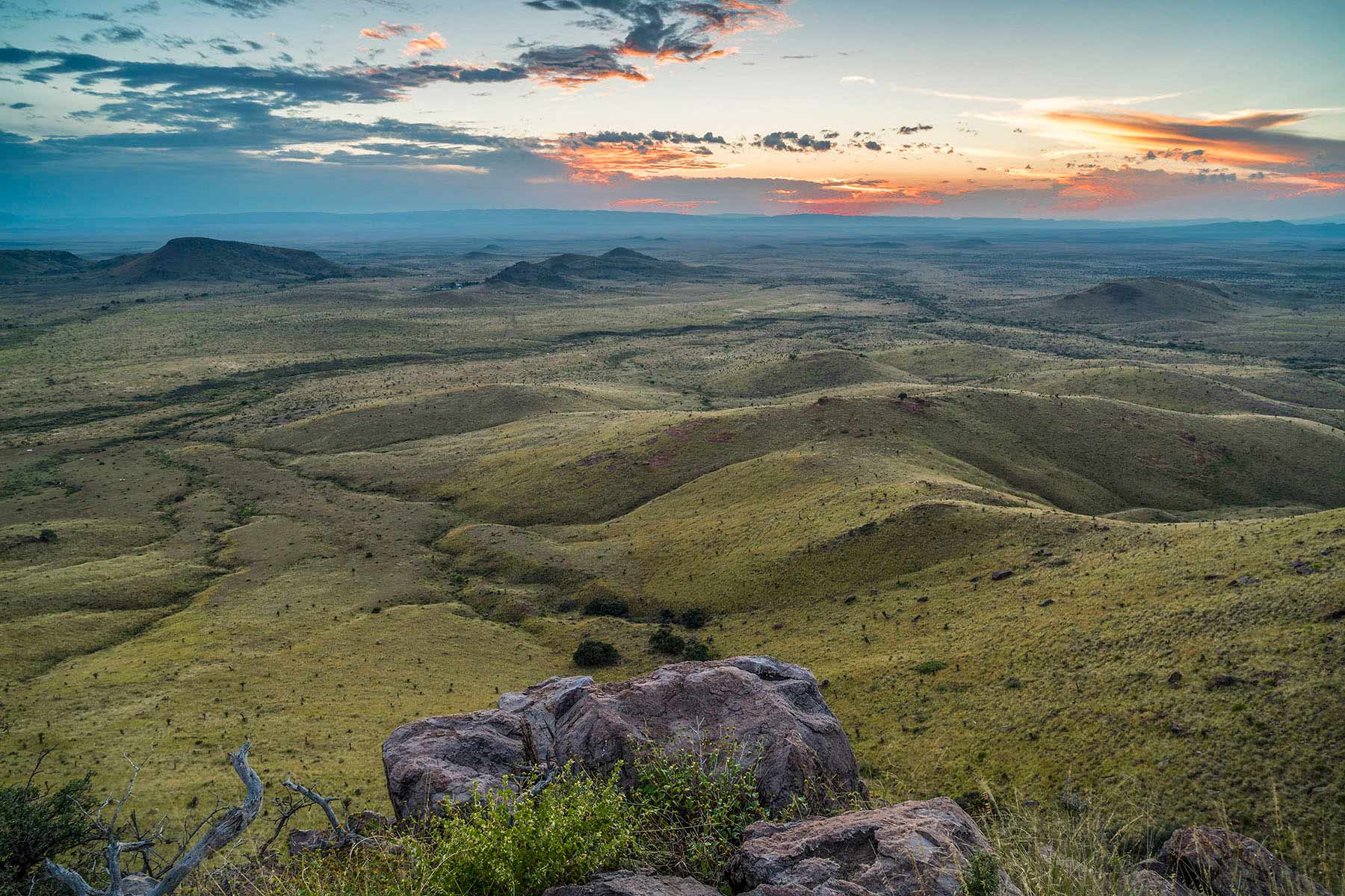 Gearhart Ranch - Sold - Texas - Hall and Hall