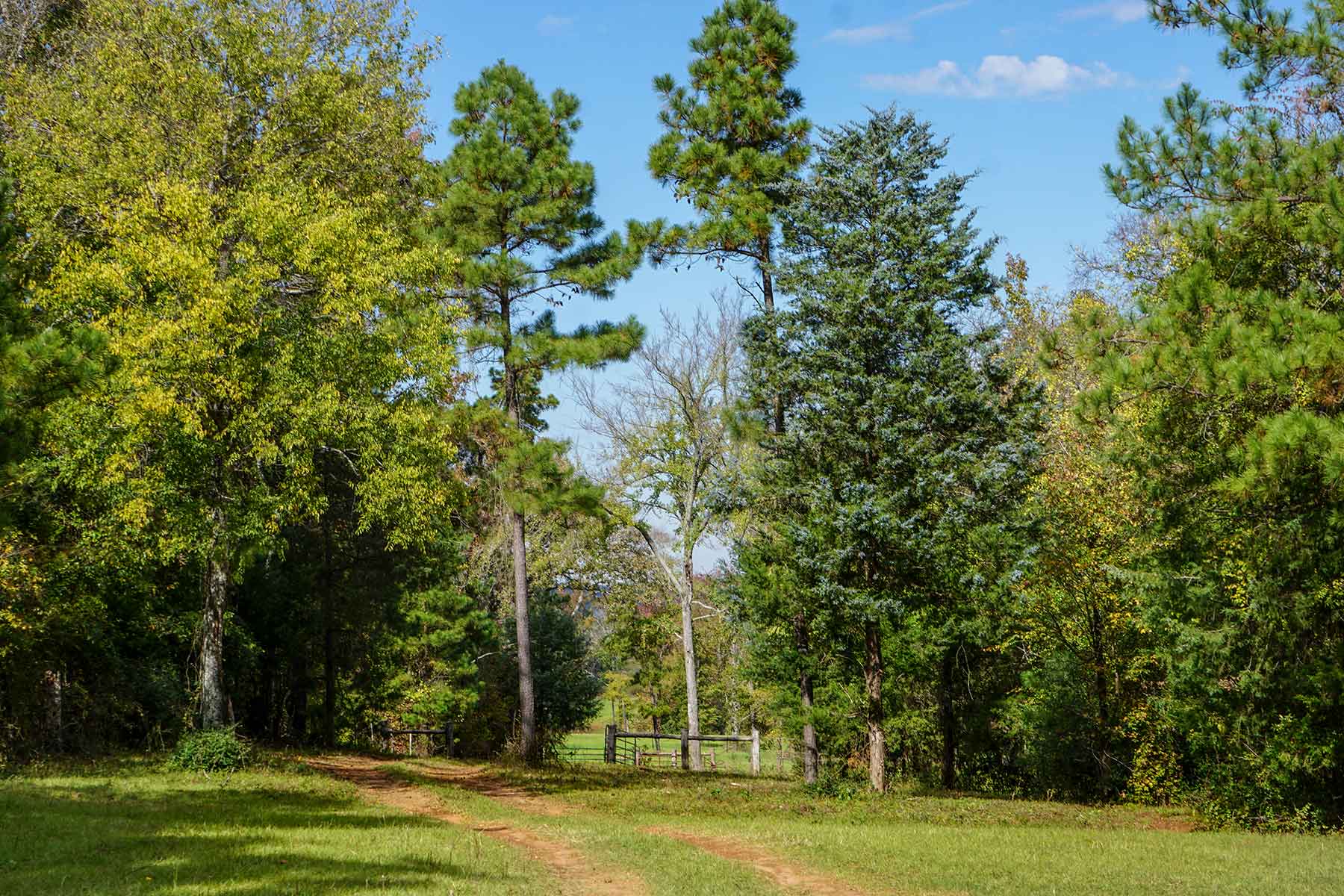 Starr Mountain Ranch - Sold - Texas - Hall and Hall