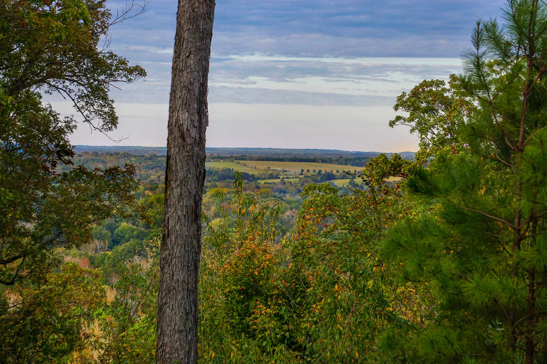 Starr Mountain Ranch - Sold - Texas - Hall and Hall
