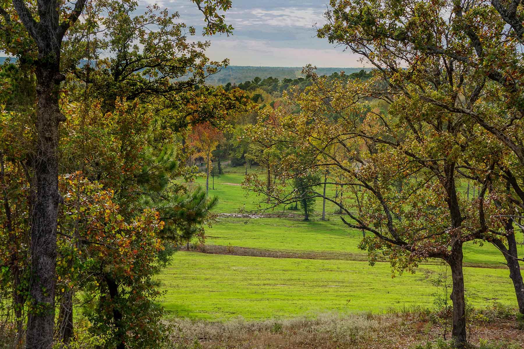 Starr Mountain Ranch - Sold - Texas - Hall and Hall