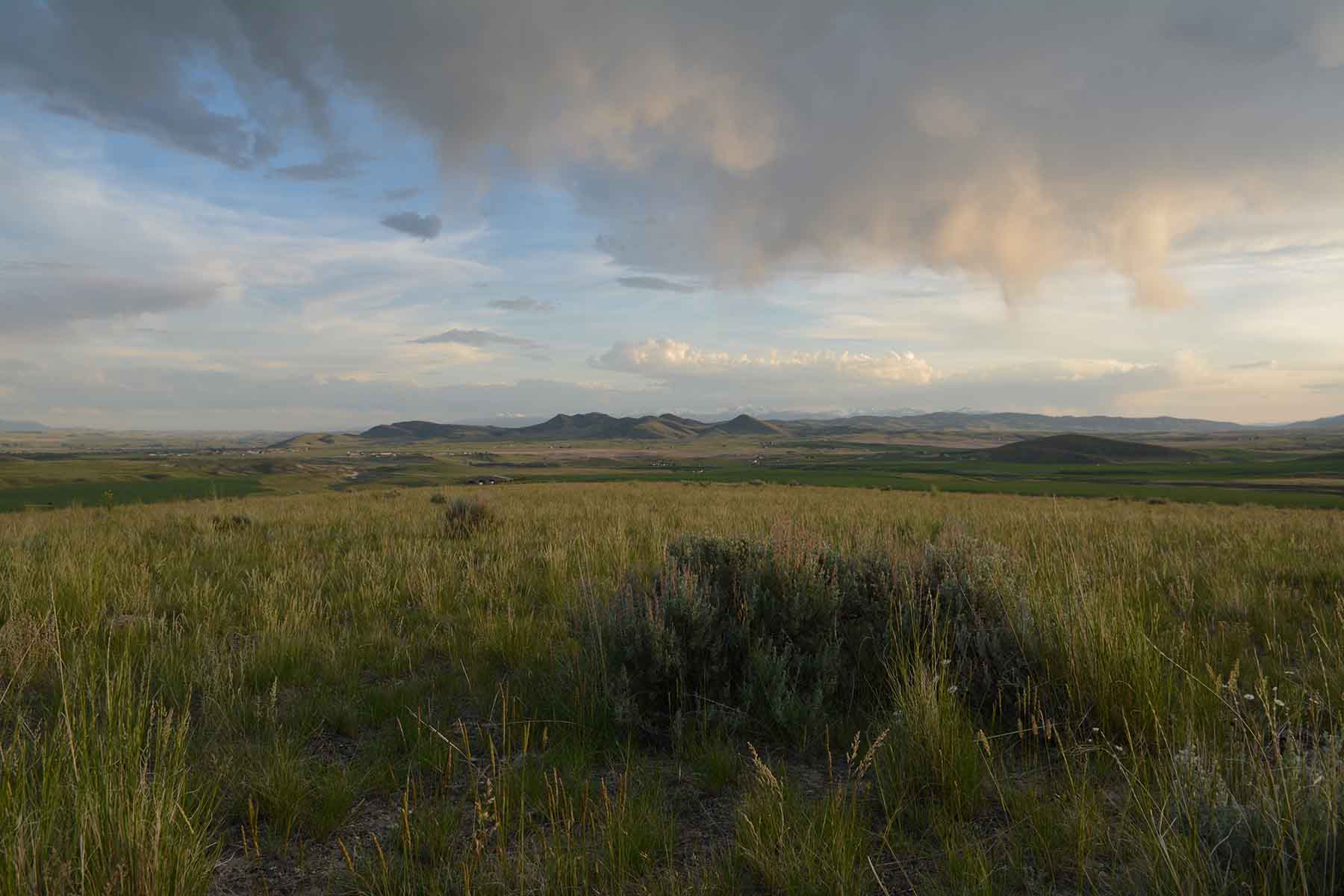 Copper City Ranch - Sold - Montana - Hall and Hall