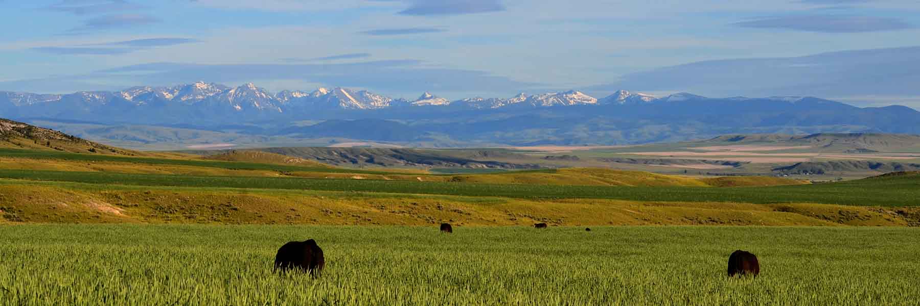 Copper City Ranch - Sold - Montana - Hall and Hall
