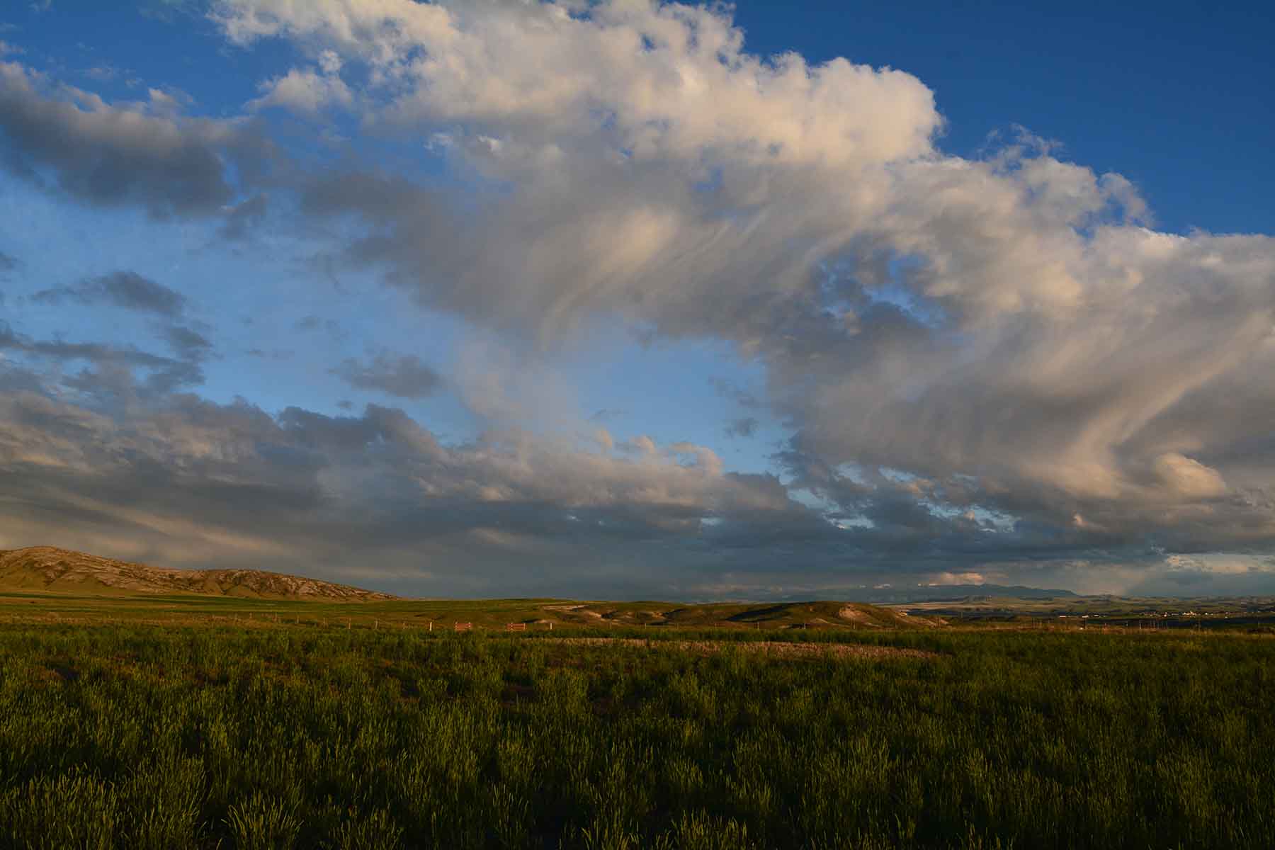 Copper City Ranch - Sold - Montana - Hall and Hall