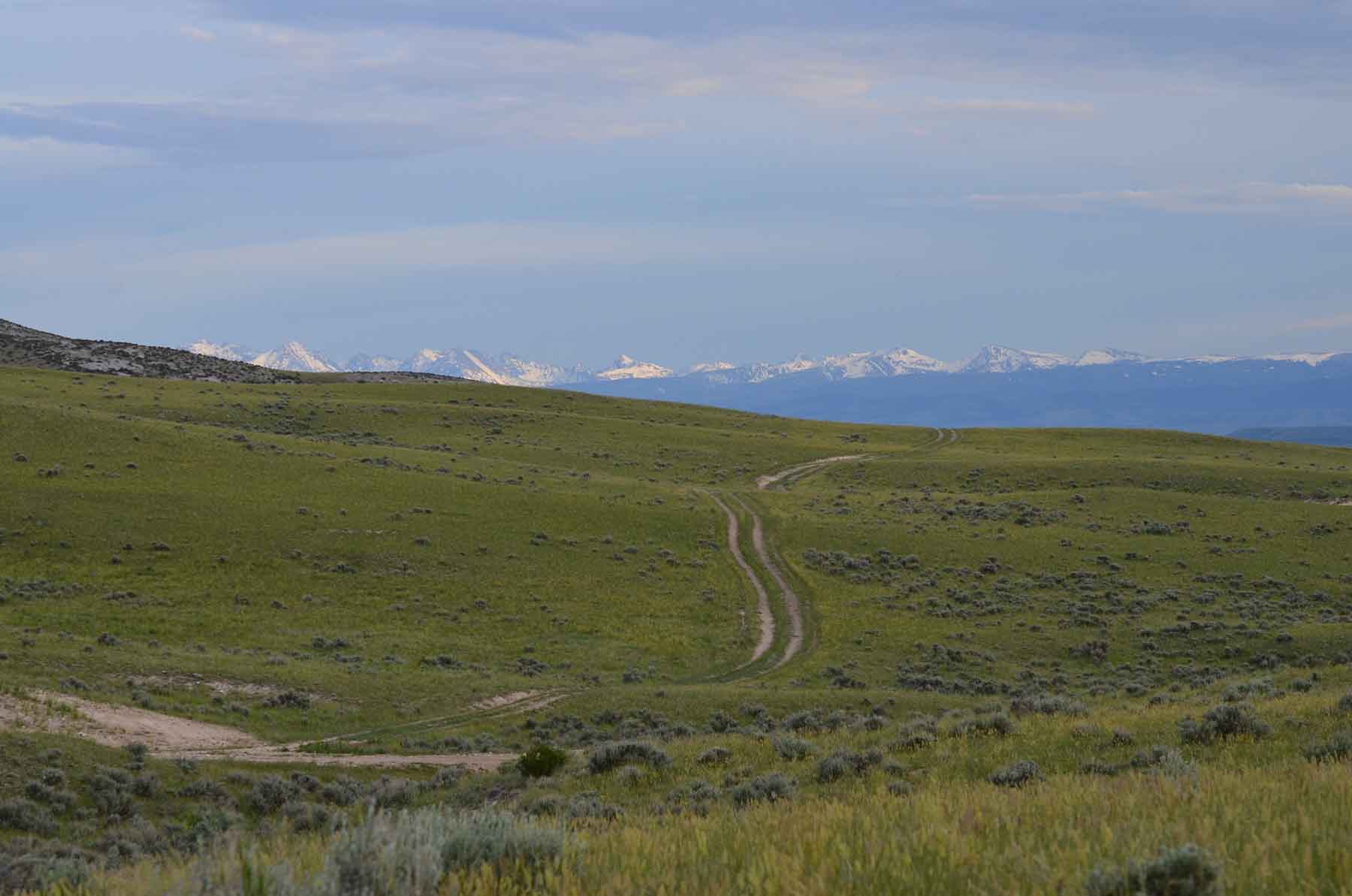 Copper City Ranch - Sold - Montana - Hall and Hall