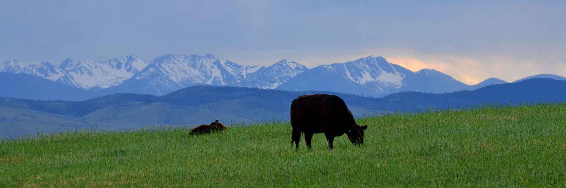 Copper City Ranch - For Sale - Montana - Hall and Hall