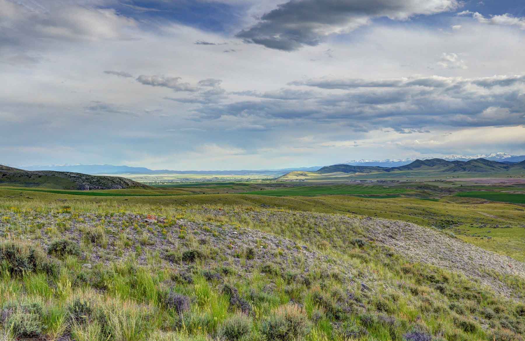 Copper City Ranch - For Sale - Montana - Hall and Hall