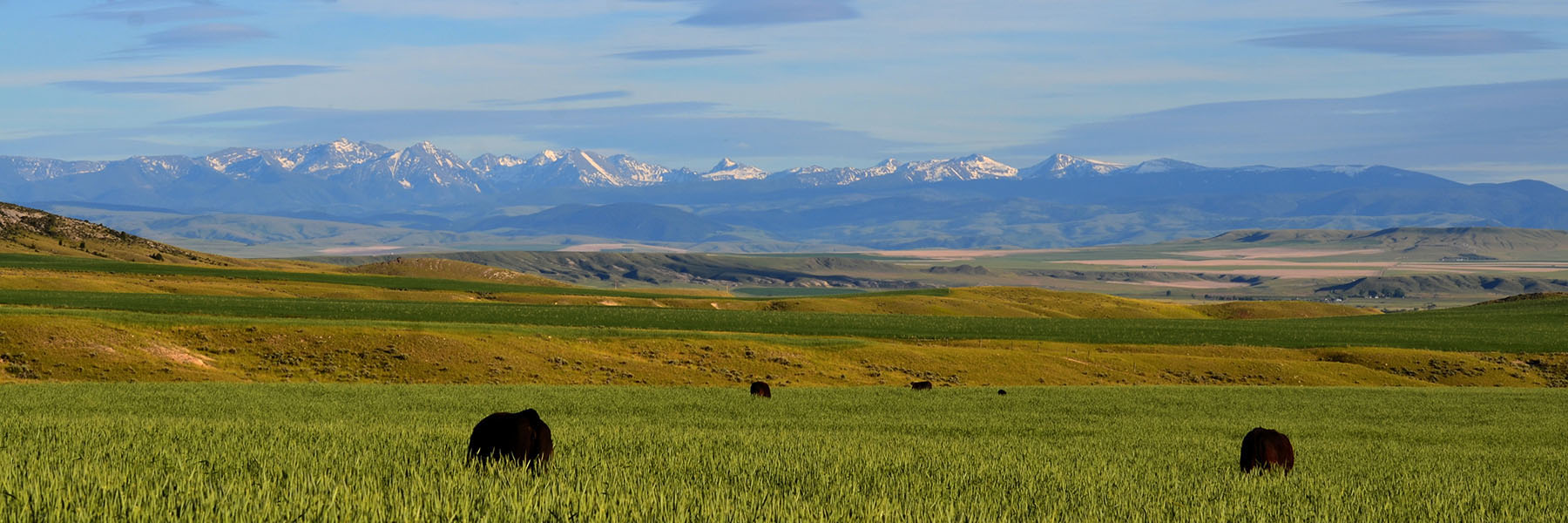 Copper City Ranch - Sold - Montana - Hall and Hall