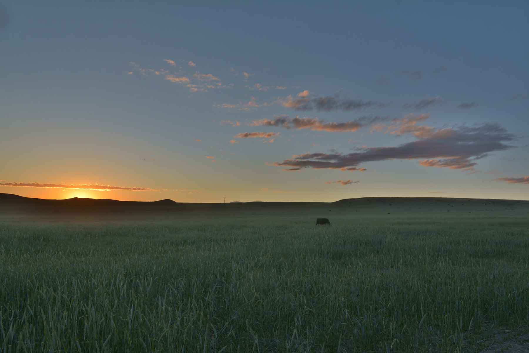 Copper City Ranch - For Sale - Montana - Hall and Hall