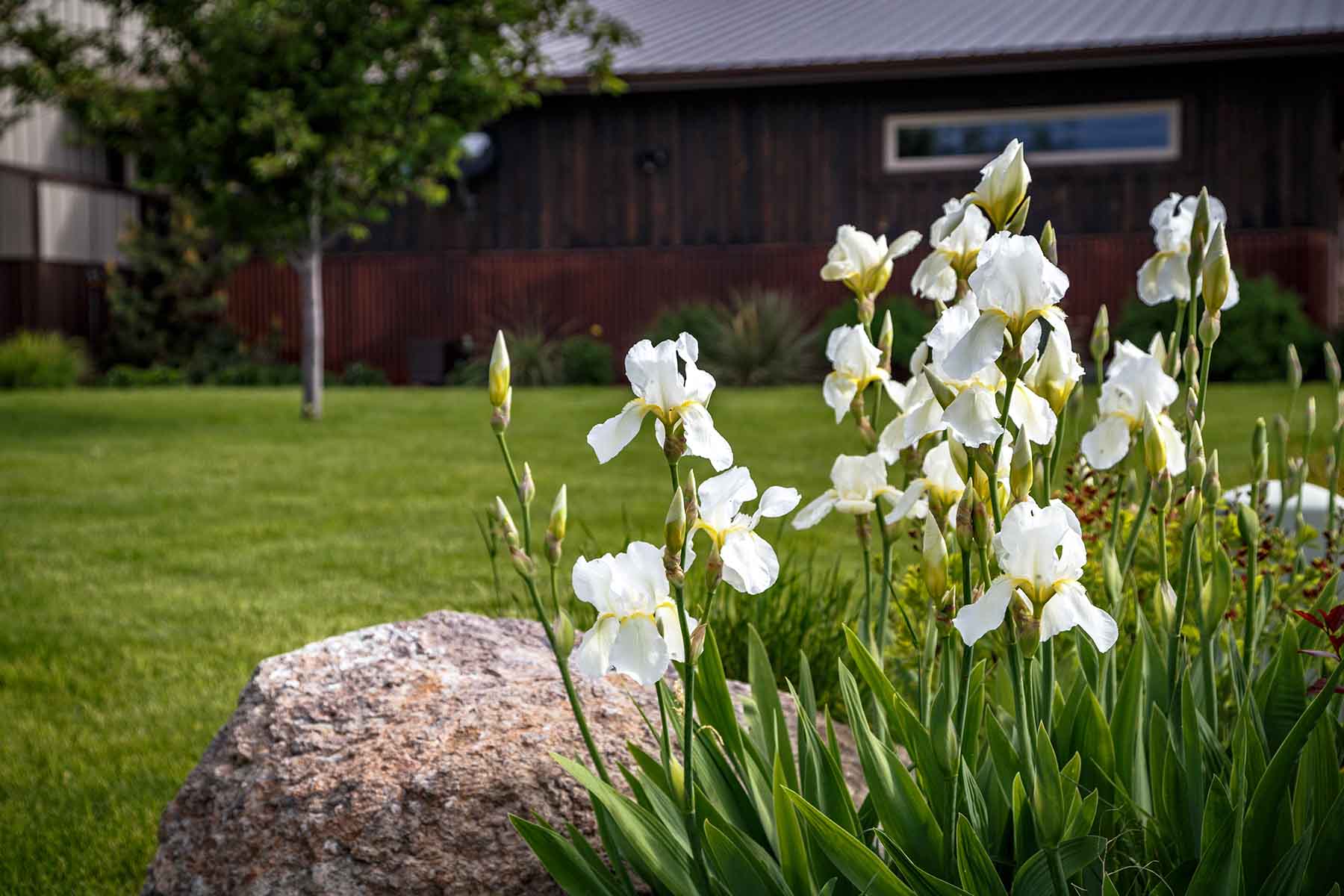 Copper City Ranch - For Sale - Montana - Hall and Hall