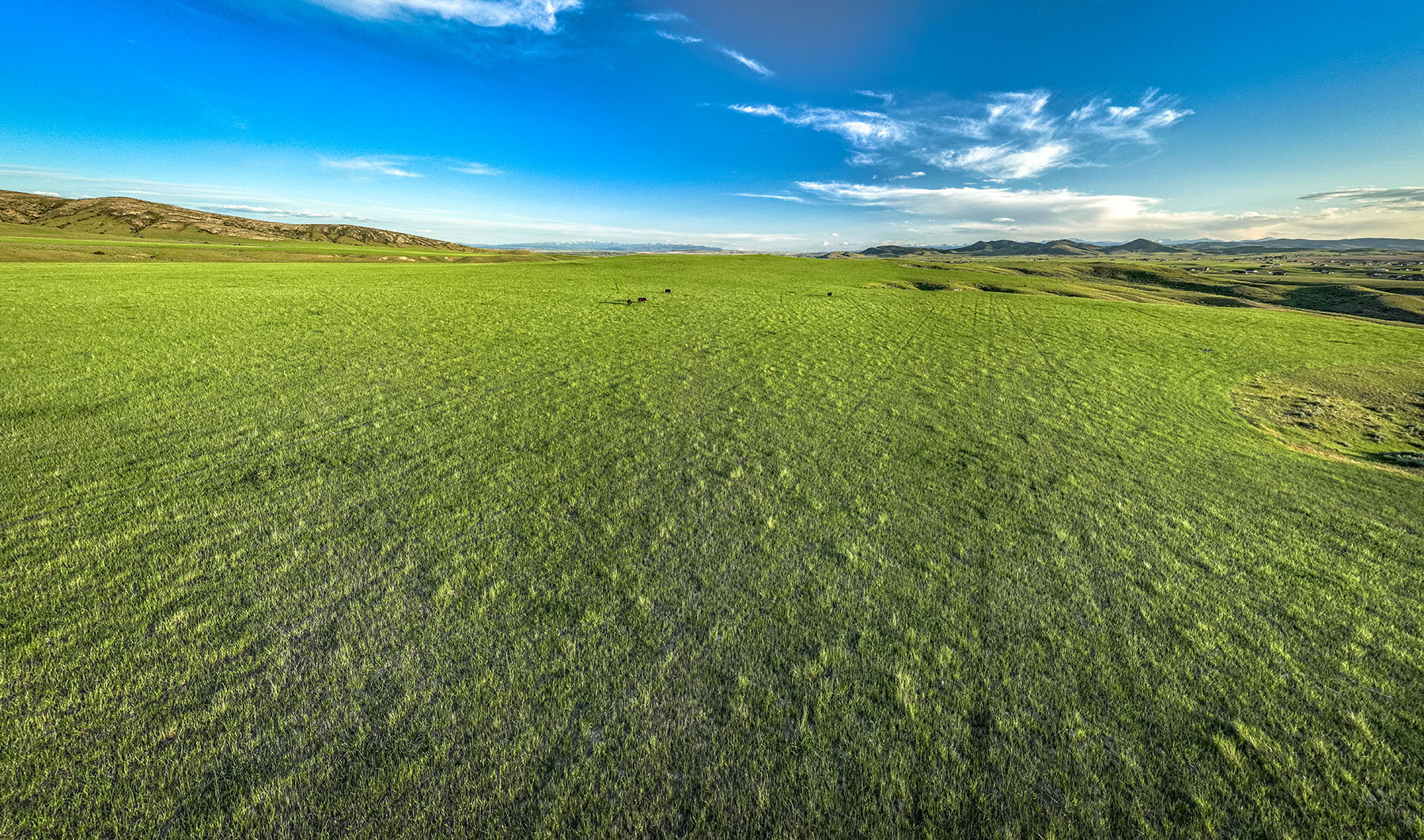 Copper City Ranch - Sold - Montana - Hall and Hall