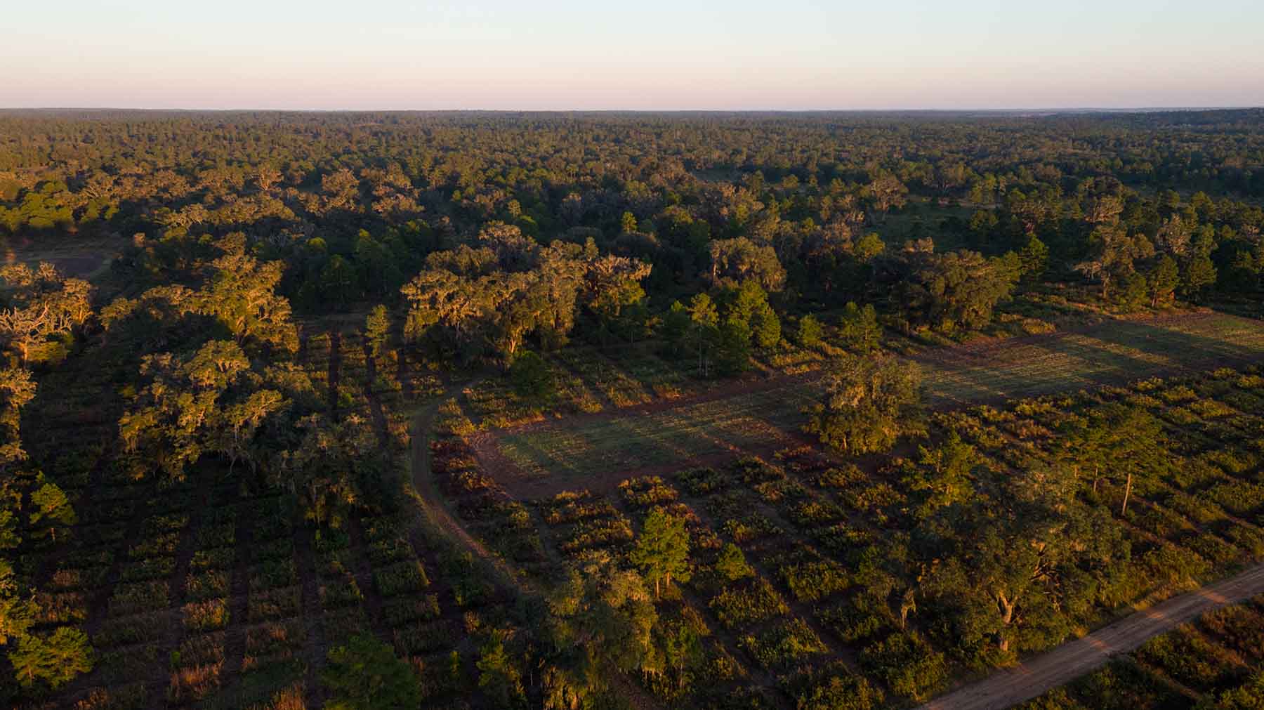 Loveridge Plantation - Sold - Florida - Hall and Hall