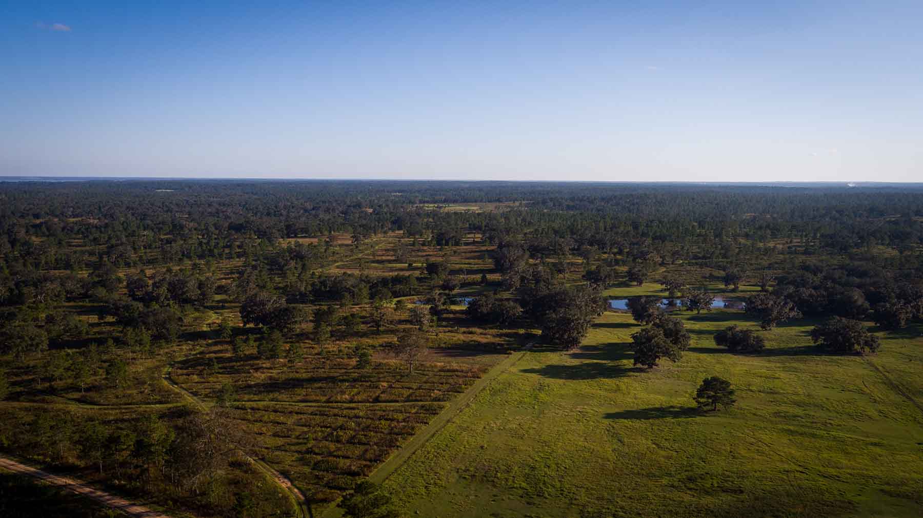 Loveridge Plantation - Hall and Hall