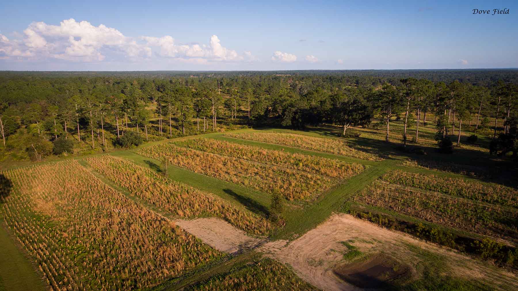 Loveridge Plantation - Sold - Florida - Hall and Hall