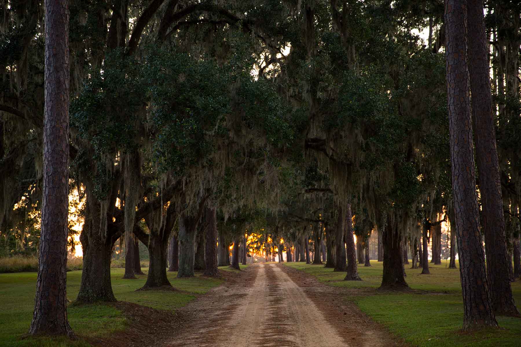 Loveridge Plantation - Sold - Florida - Hall and Hall