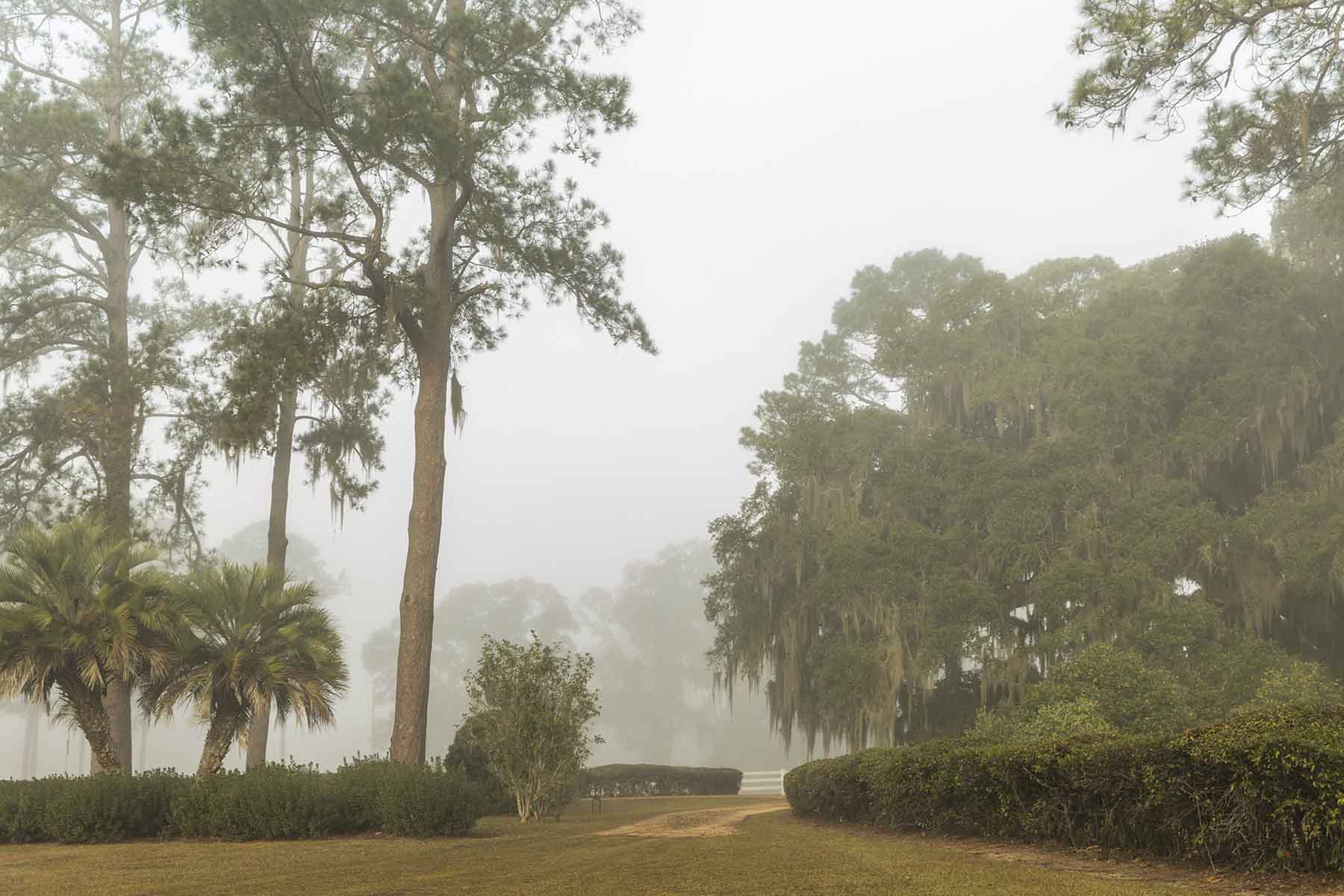 Loveridge Plantation - Sold - Florida - Hall and Hall