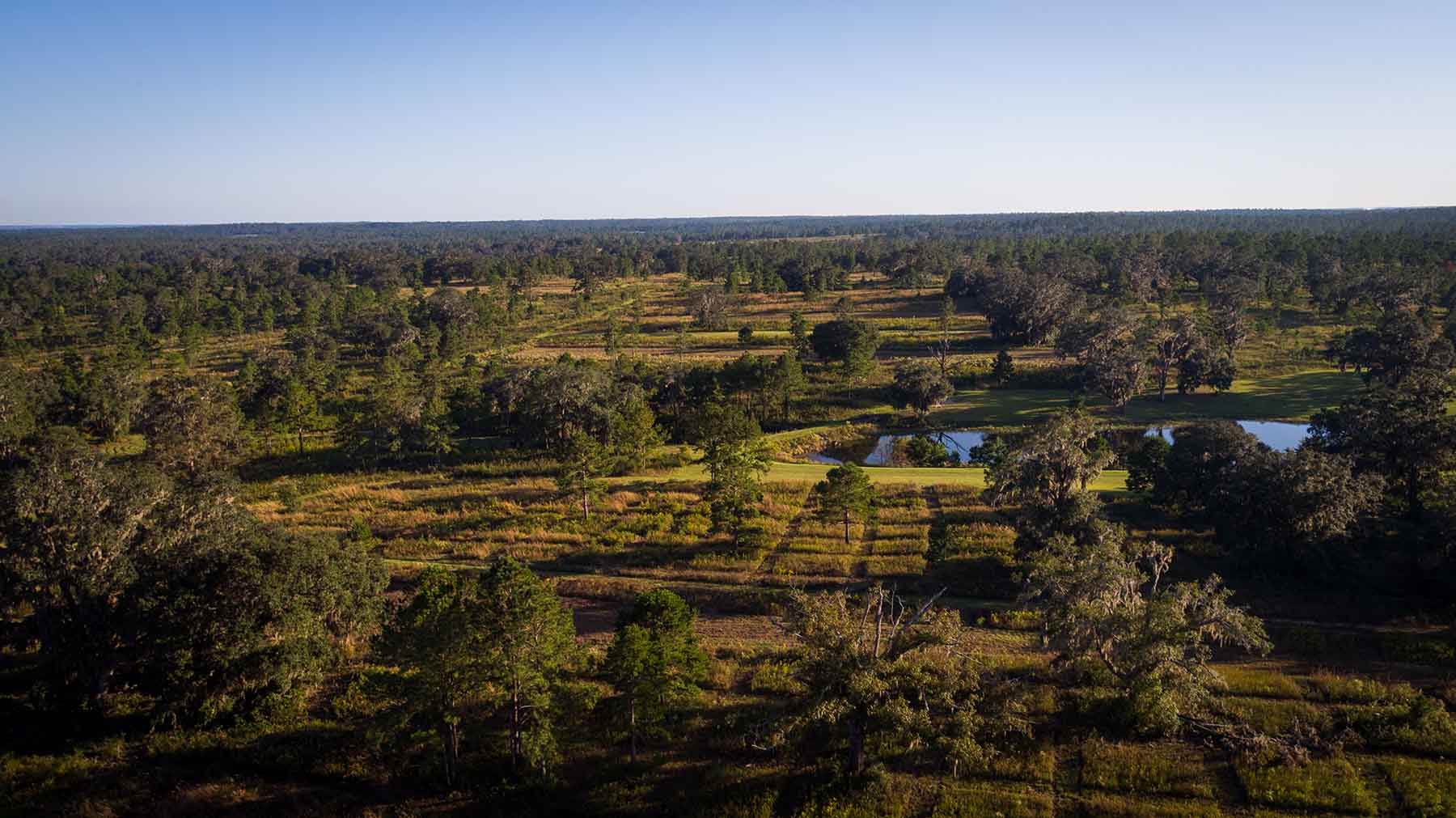 Loveridge Plantation - Sold - Florida - Hall and Hall