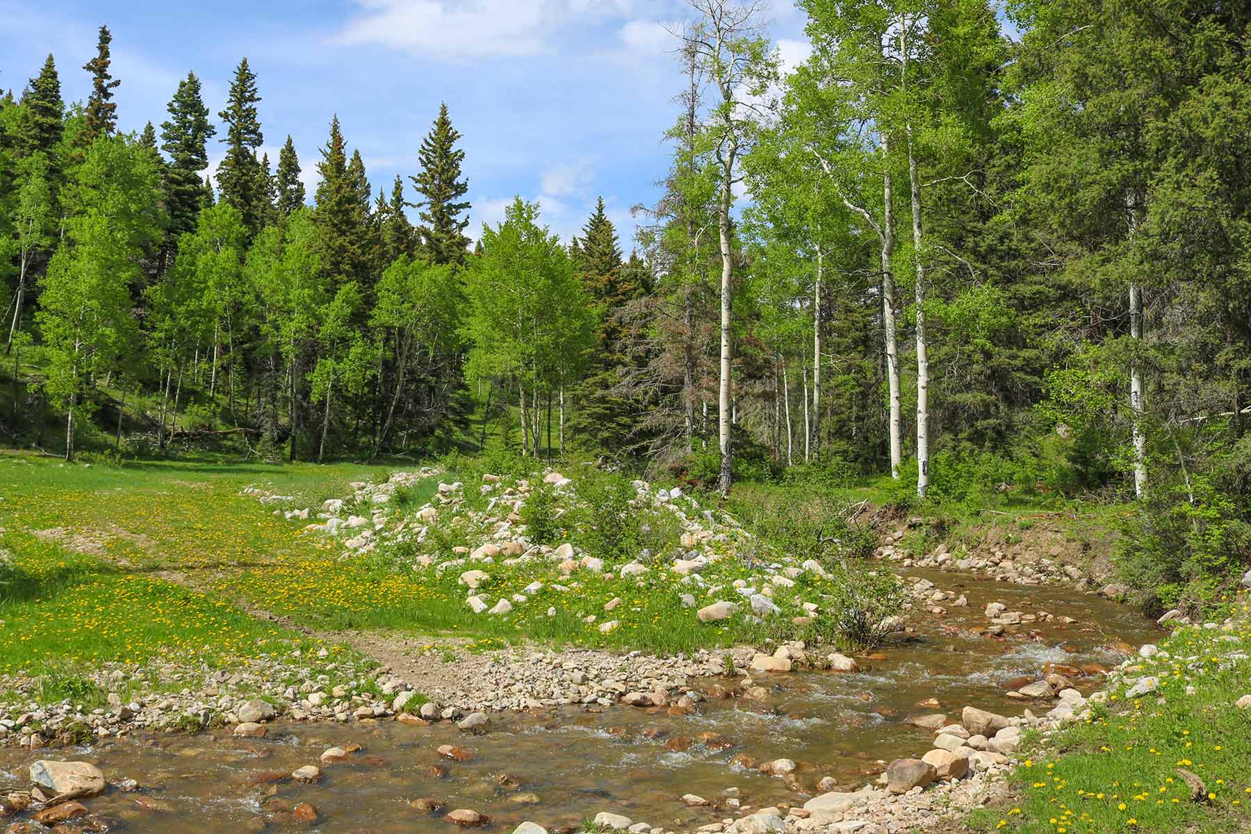 High Timber Ranch - Sold - New Mexico - Hall and Hall