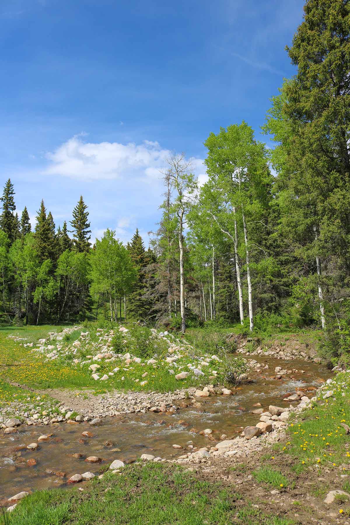 High Timber Ranch - Sold - New Mexico - Hall and Hall