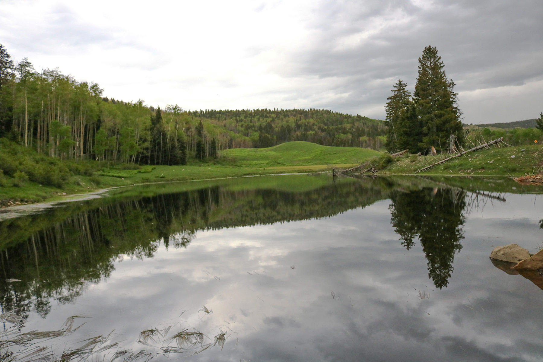 High Timber Ranch - Sold - New Mexico - Hall and Hall