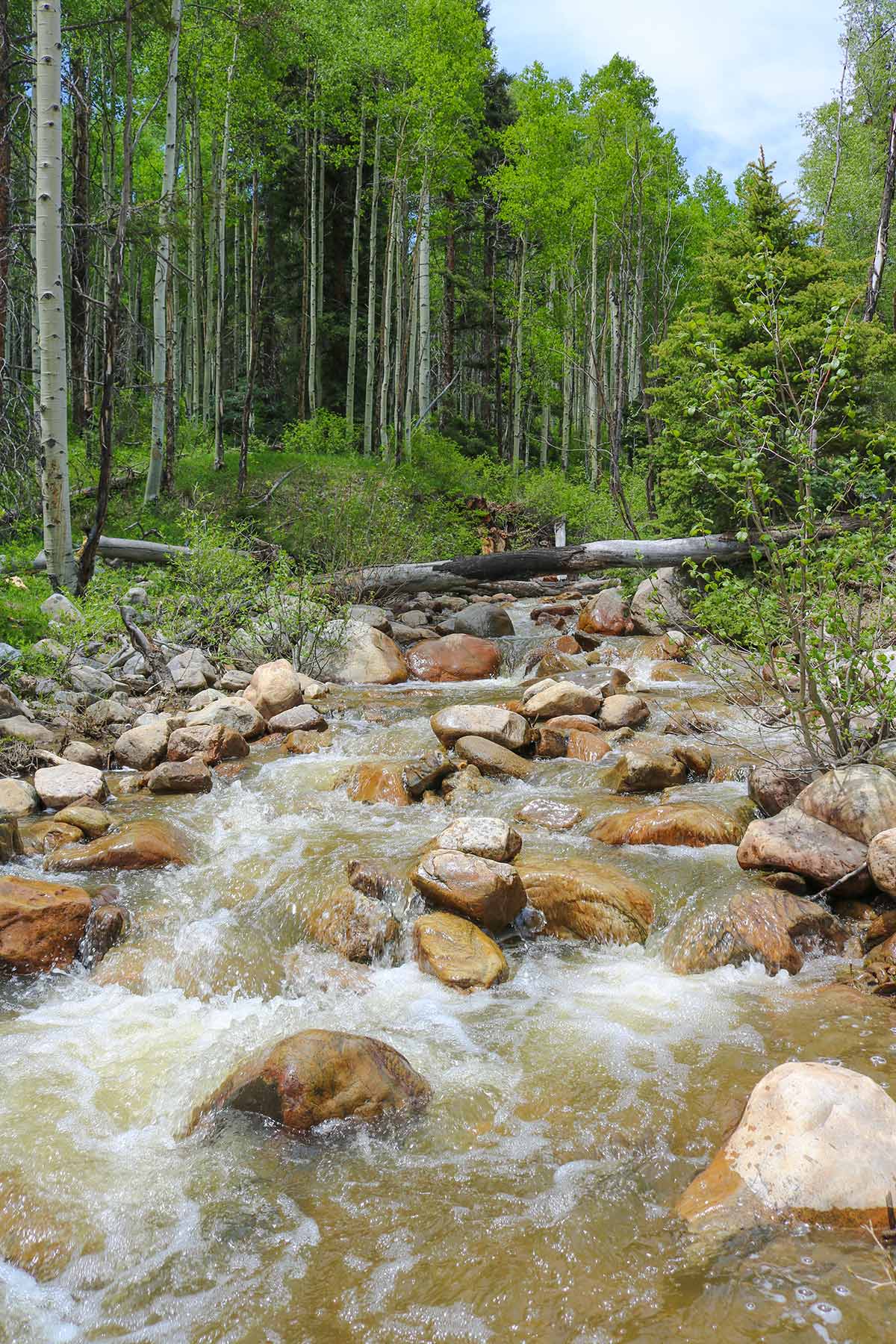 High Timber Ranch - Sold - New Mexico - Hall and Hall