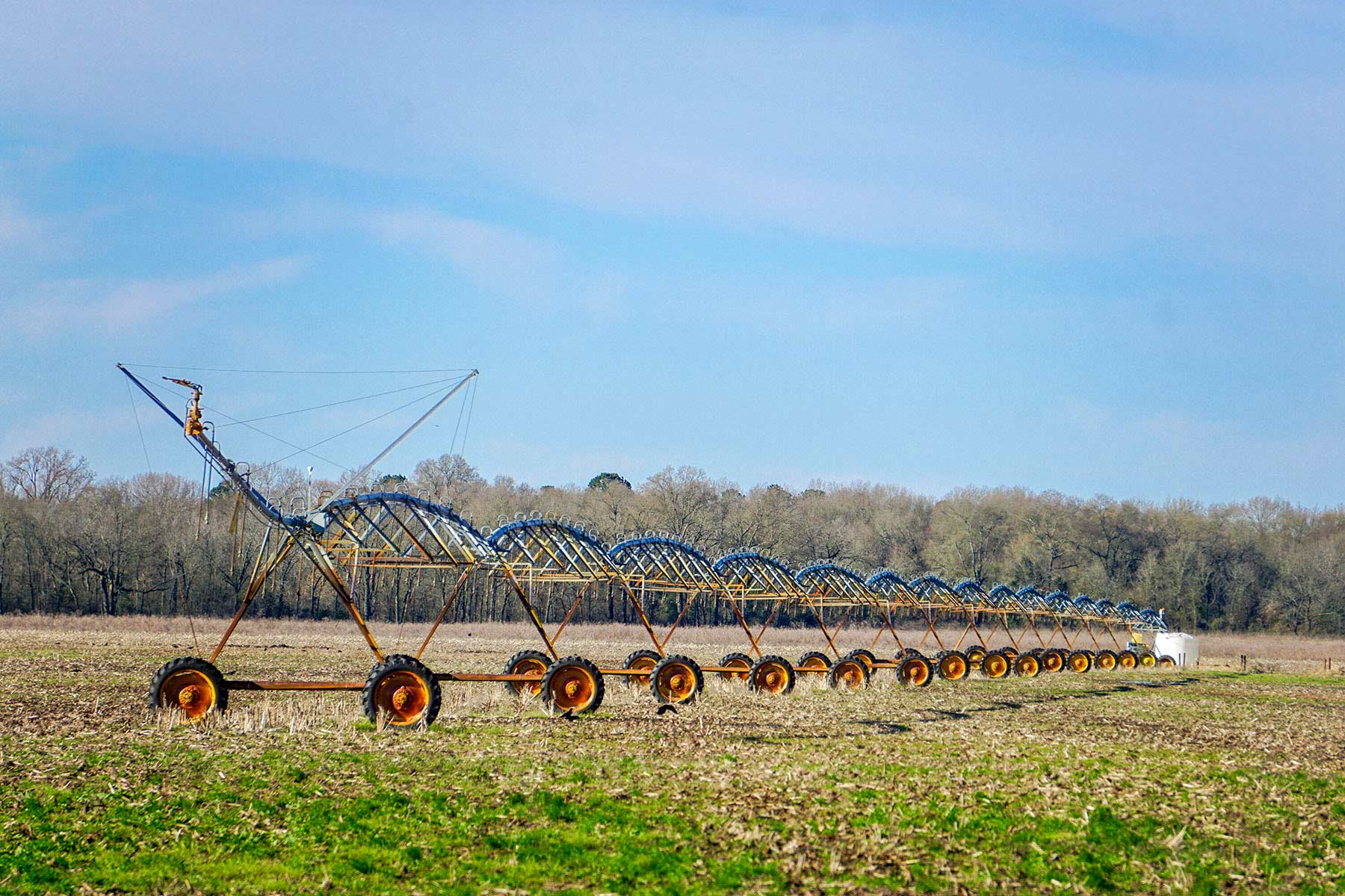 Three Circle Farms - Sold - Texas - Hall and Hall