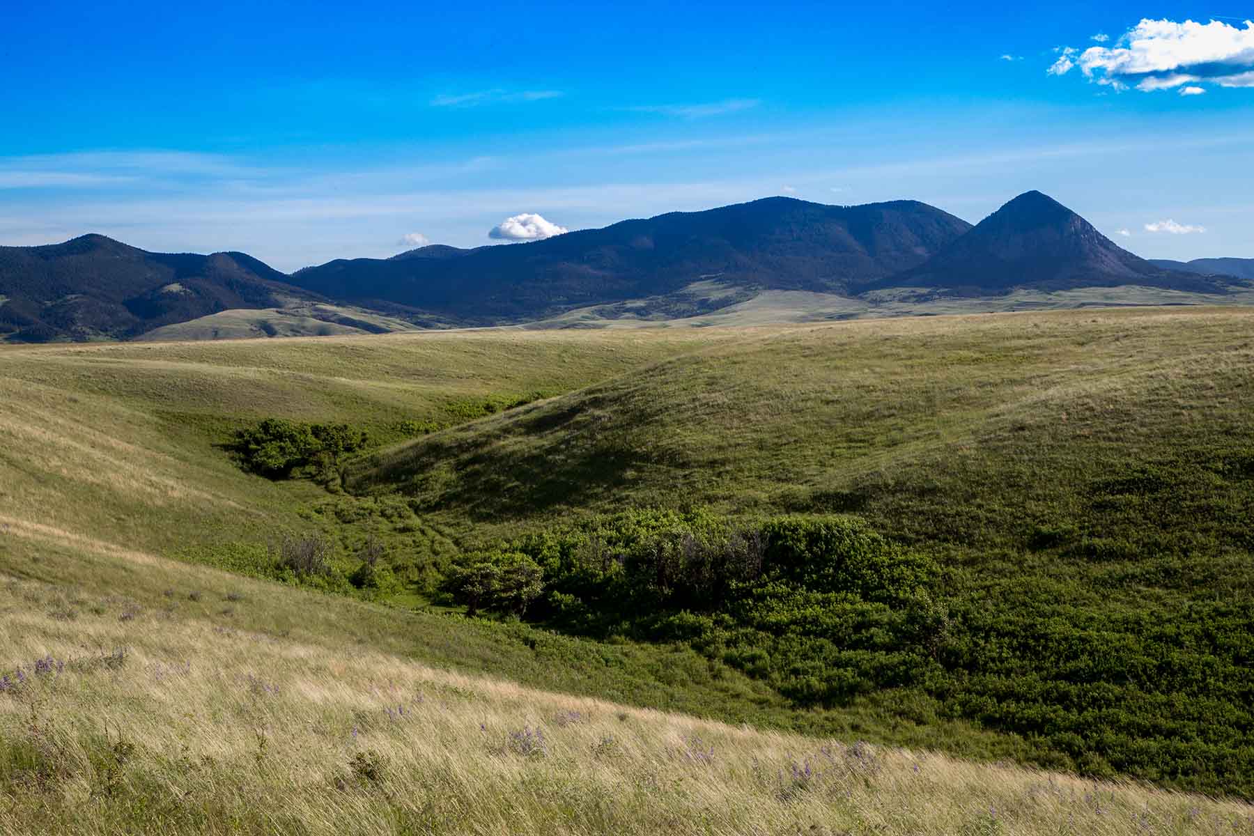 Judith Mountains Ranch - Sold - Montana - Hall and Hall