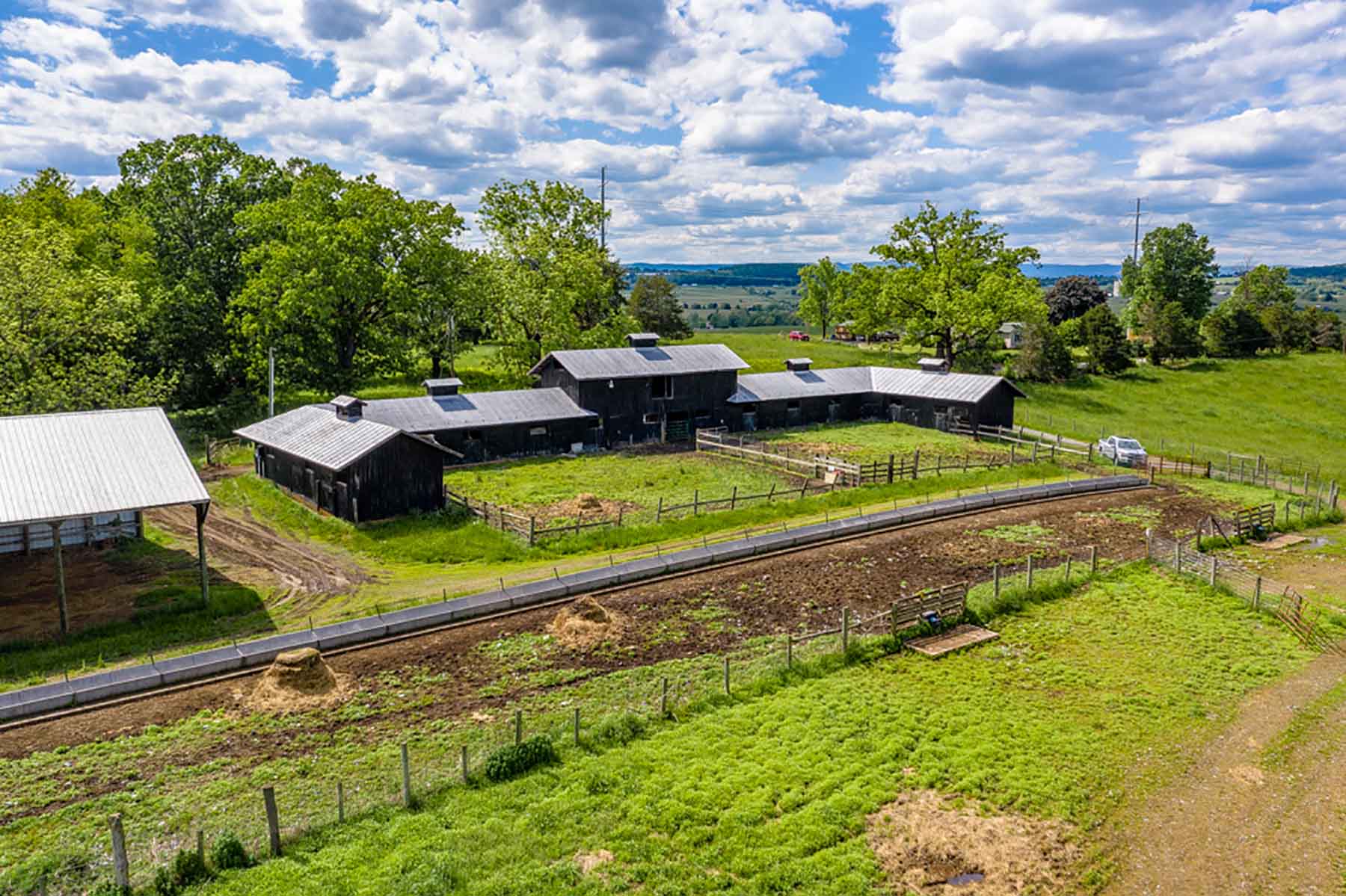 Woodside Farms - Past Auction - Virginia - Hall and Hall