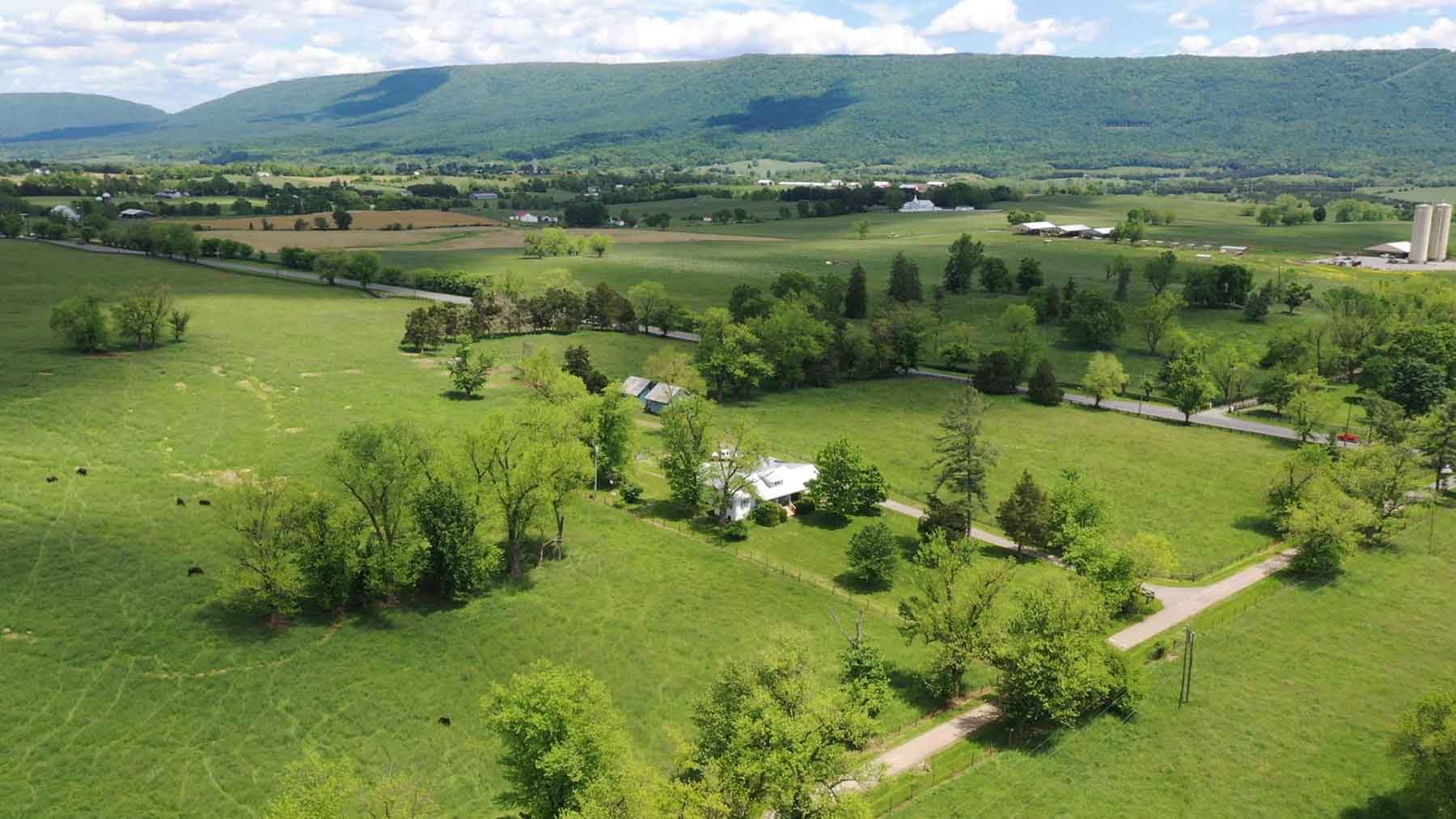 Woodside Farms - Past Auction - Virginia - Hall and Hall