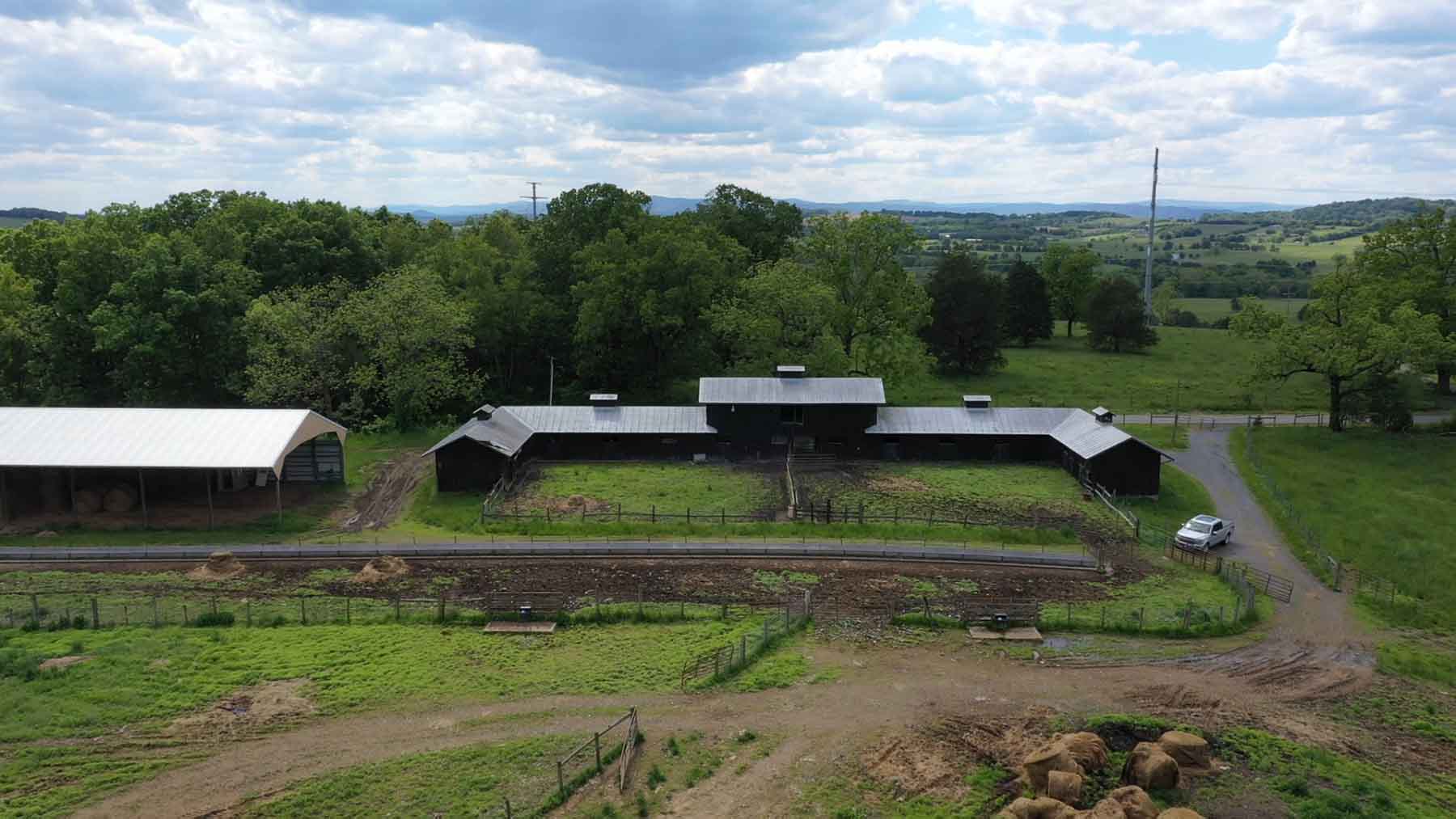 Woodside Farms - Past Auction - Virginia - Hall and Hall